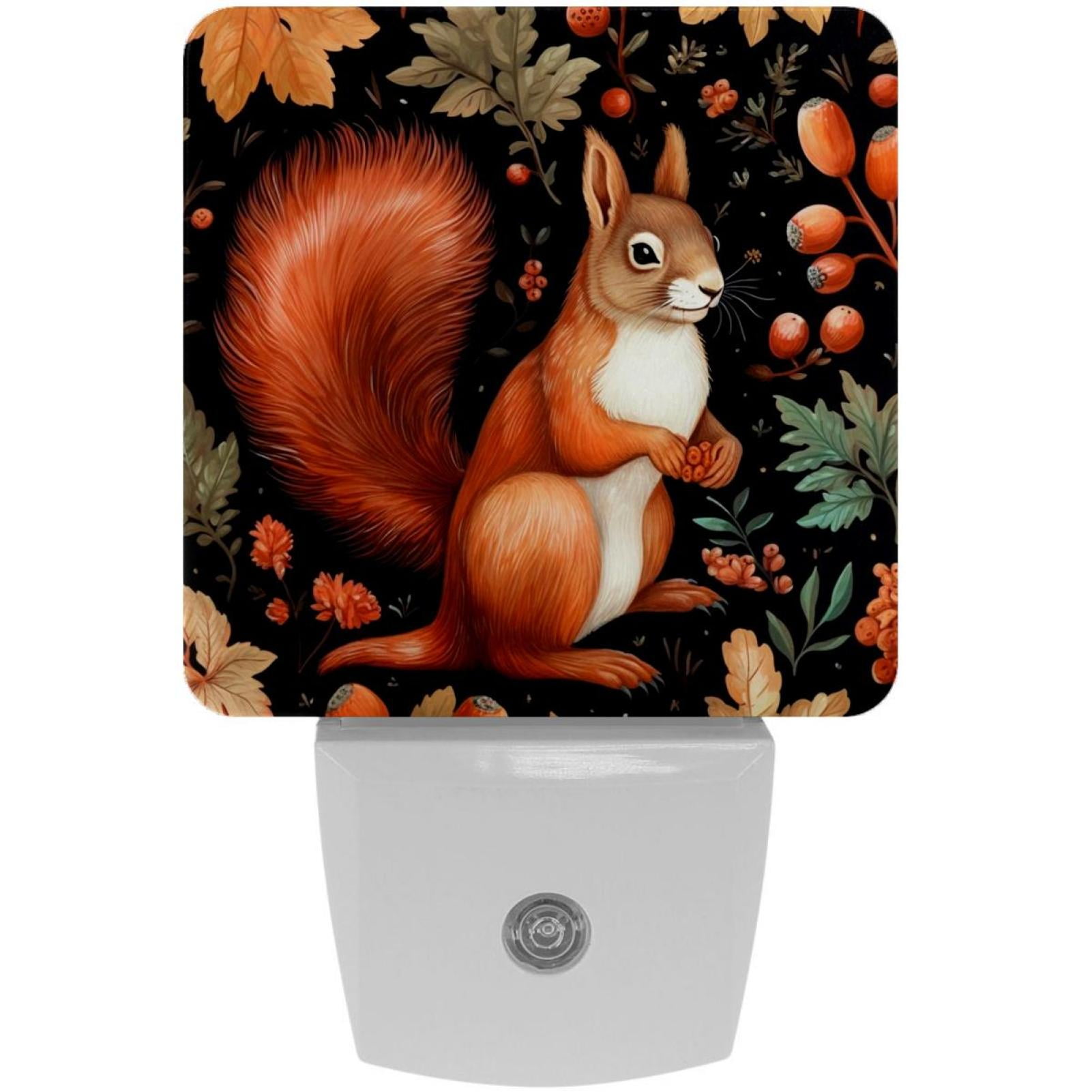 Squirrel LED Square Night Lights: Compact and Energy-Efficient ...