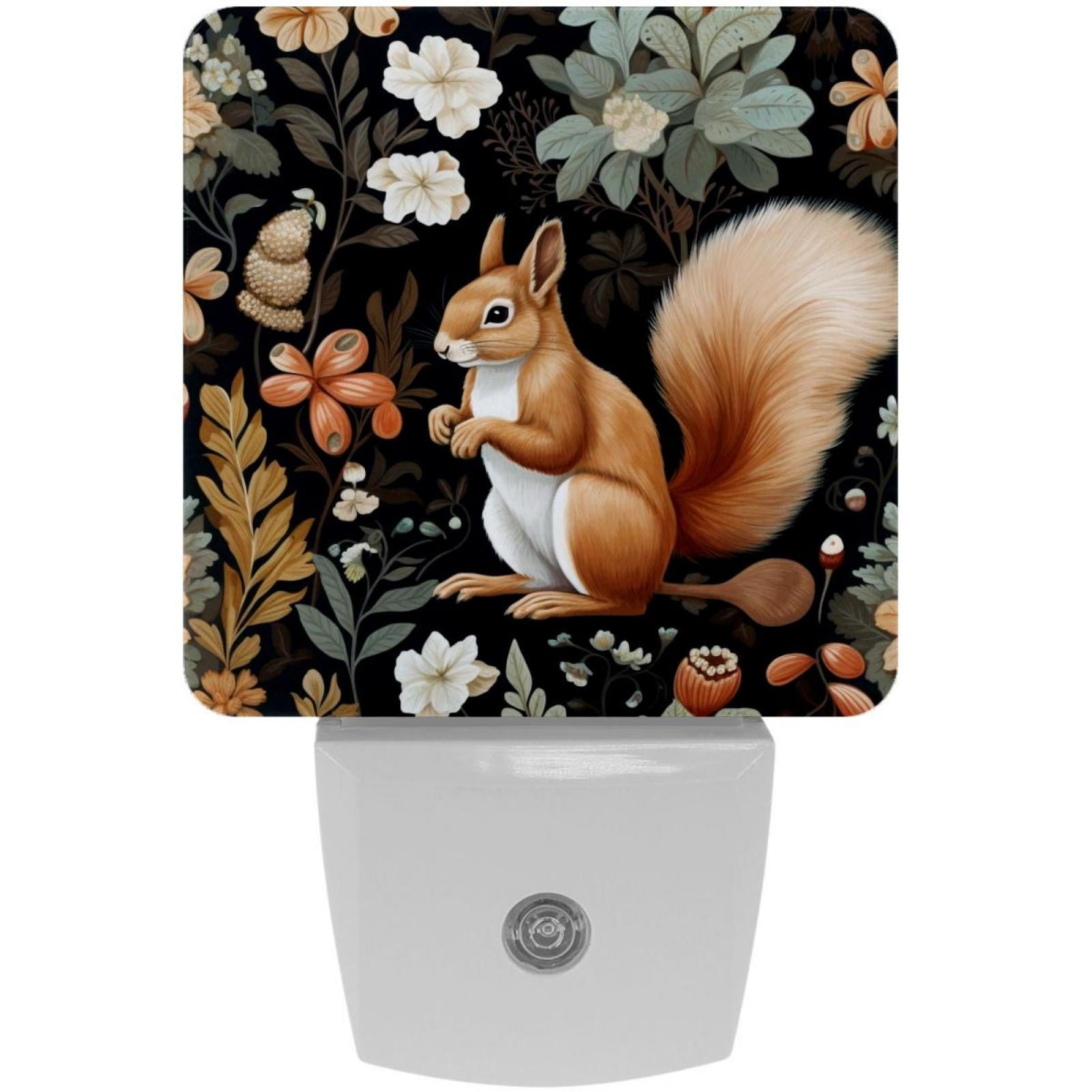 Squirrel LED Square Night Lights - Compact and Multifunctional ...