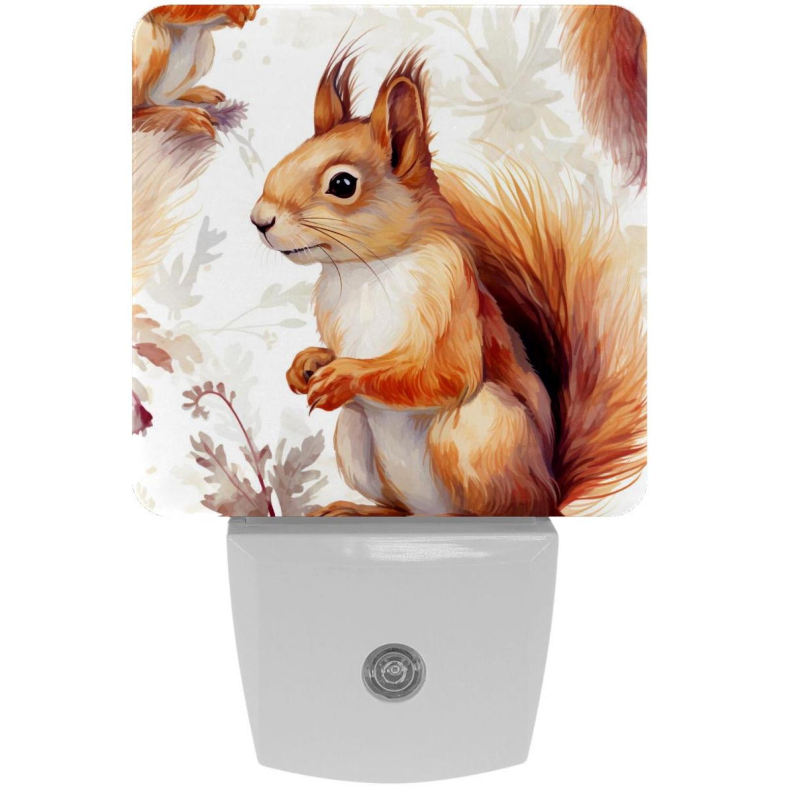 Squirrel LED Square Night Lights - Compact and Multifunctional ...