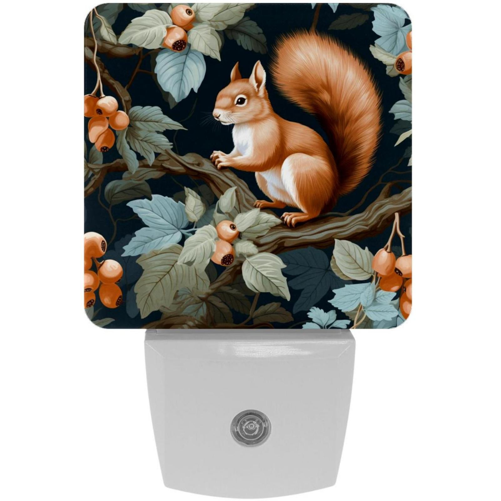 Squirrel LED Square Night Lights - Elegant and Energy Efficient ...