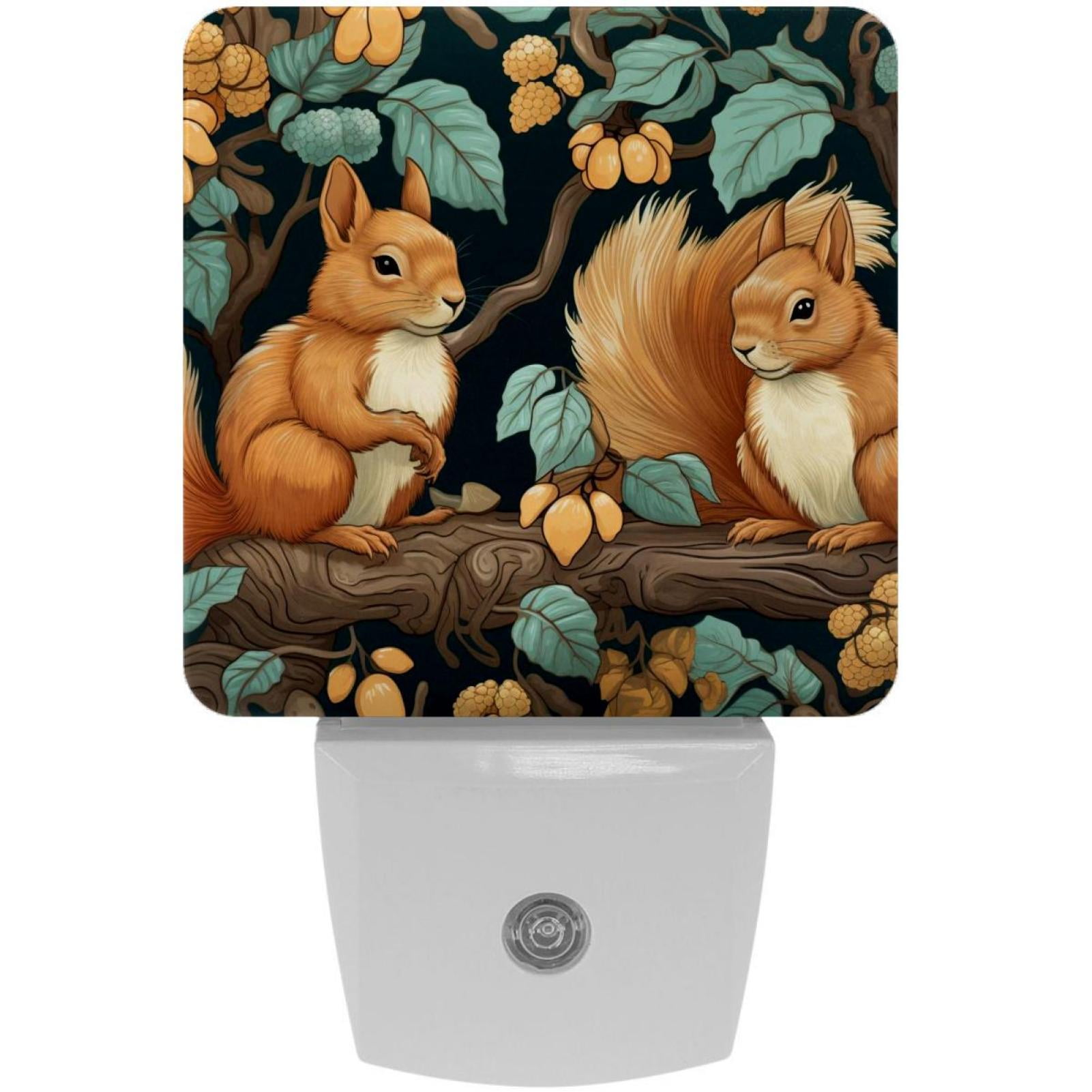 Squirrel LED Square Night Lights - Energy Efficient and Stylish Bedroom ...