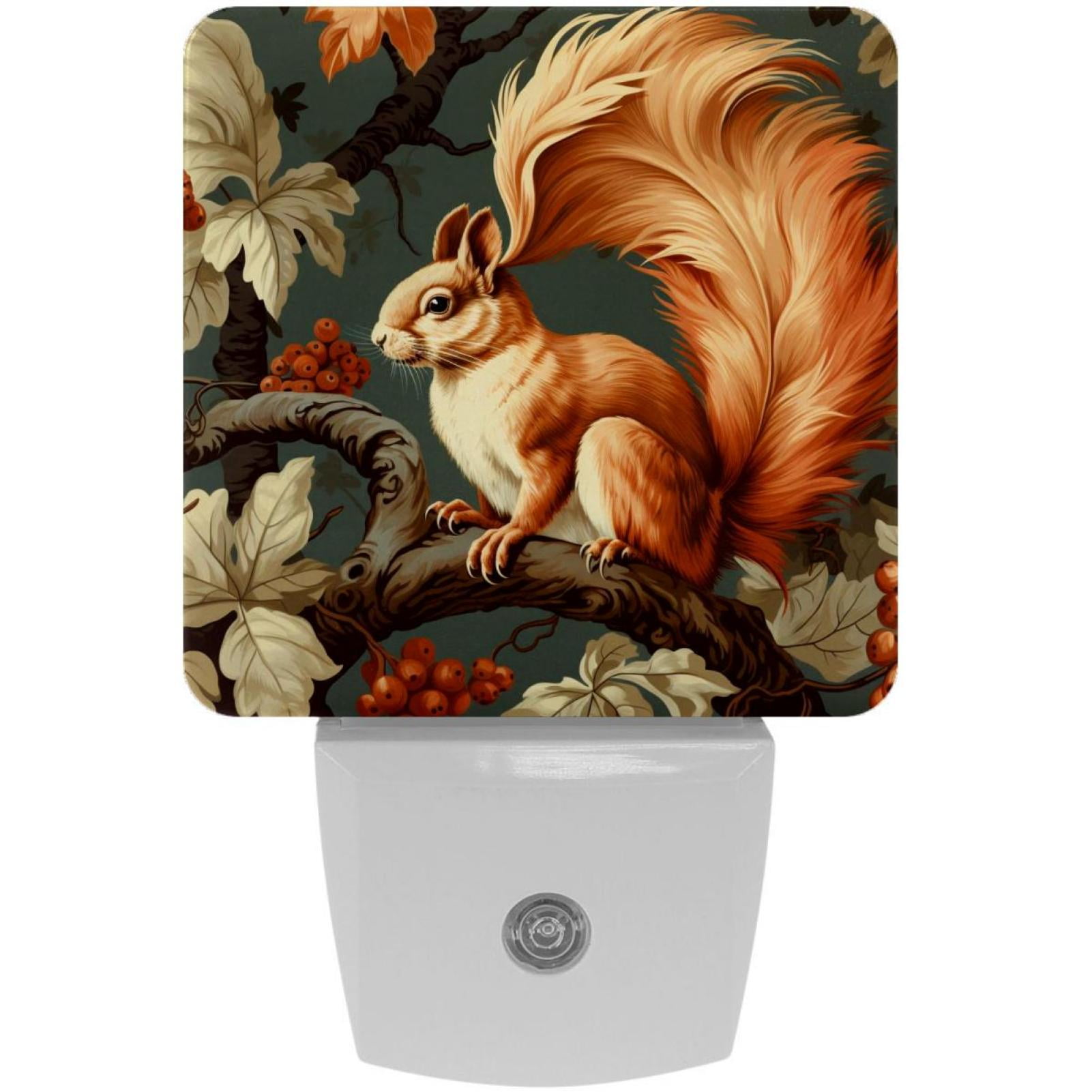 Squirrel LED Square Night Lights: Innovative Illumination for a ...