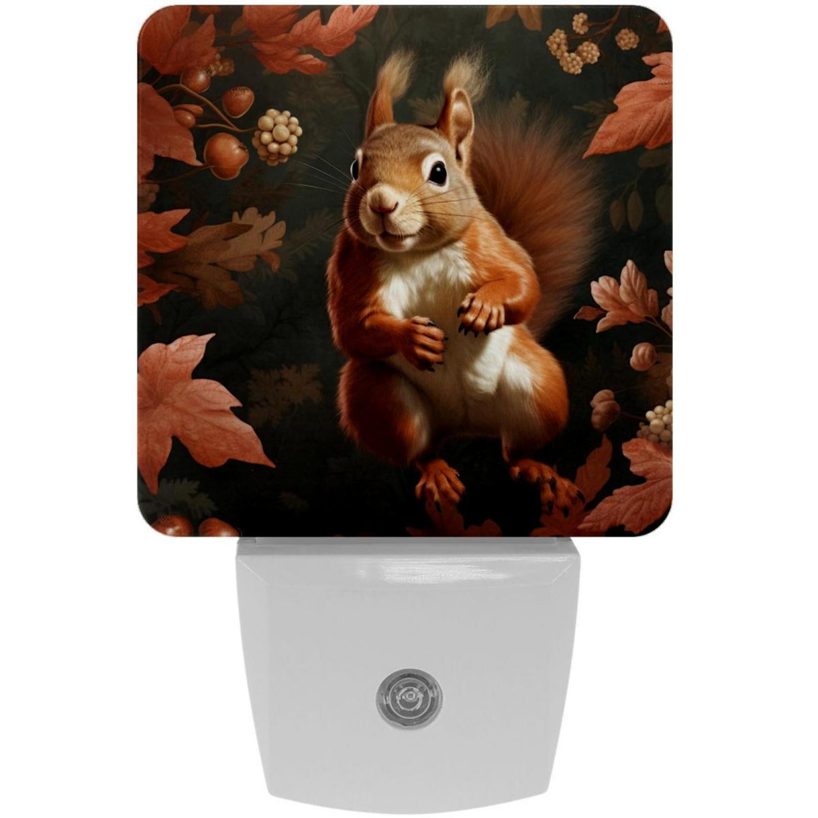 Squirrel LED Square Night Lights - Modern Design, Soft Glow, Energy ...