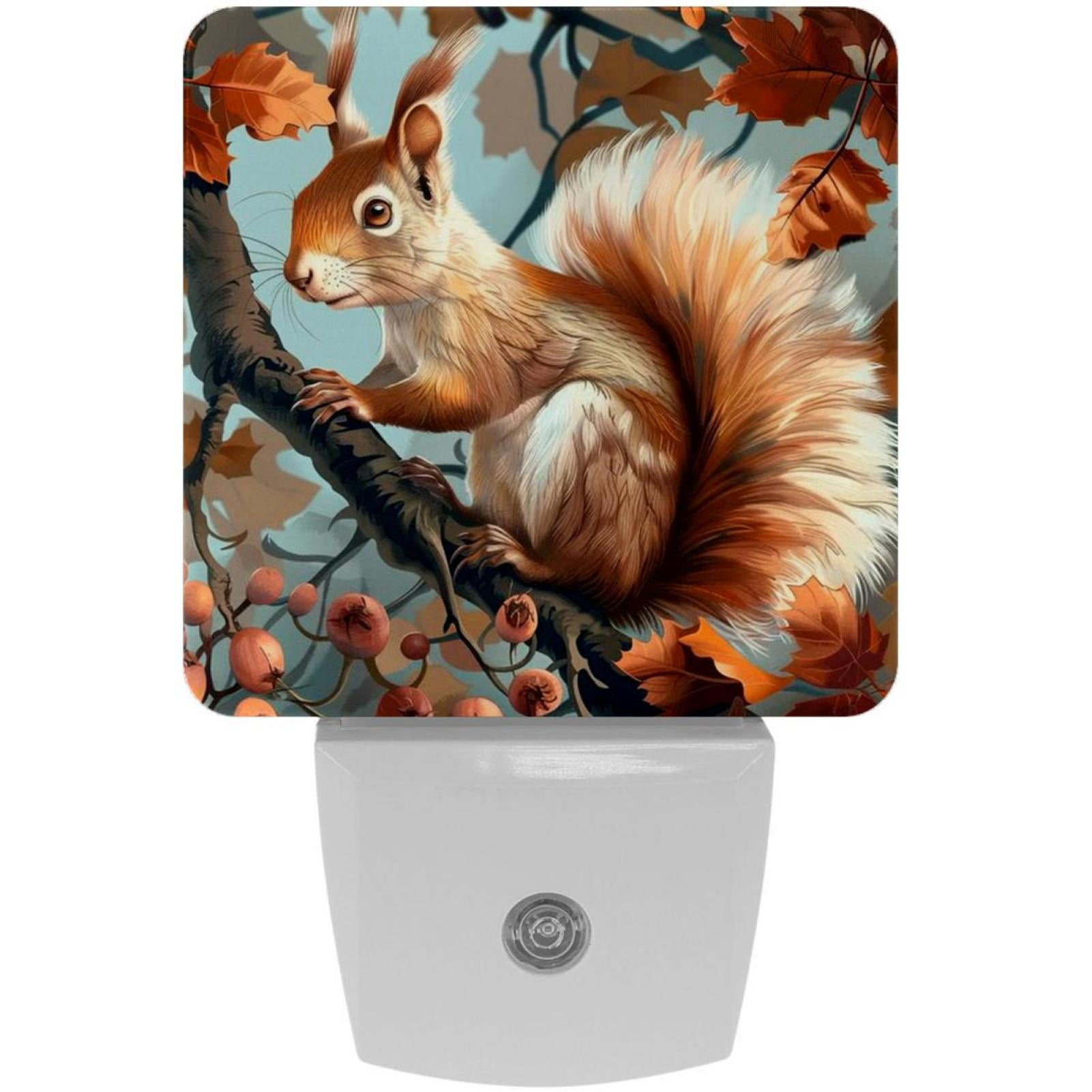 Squirrel LED Square Night Lights- Modern and Energy Efficient Bedside ...