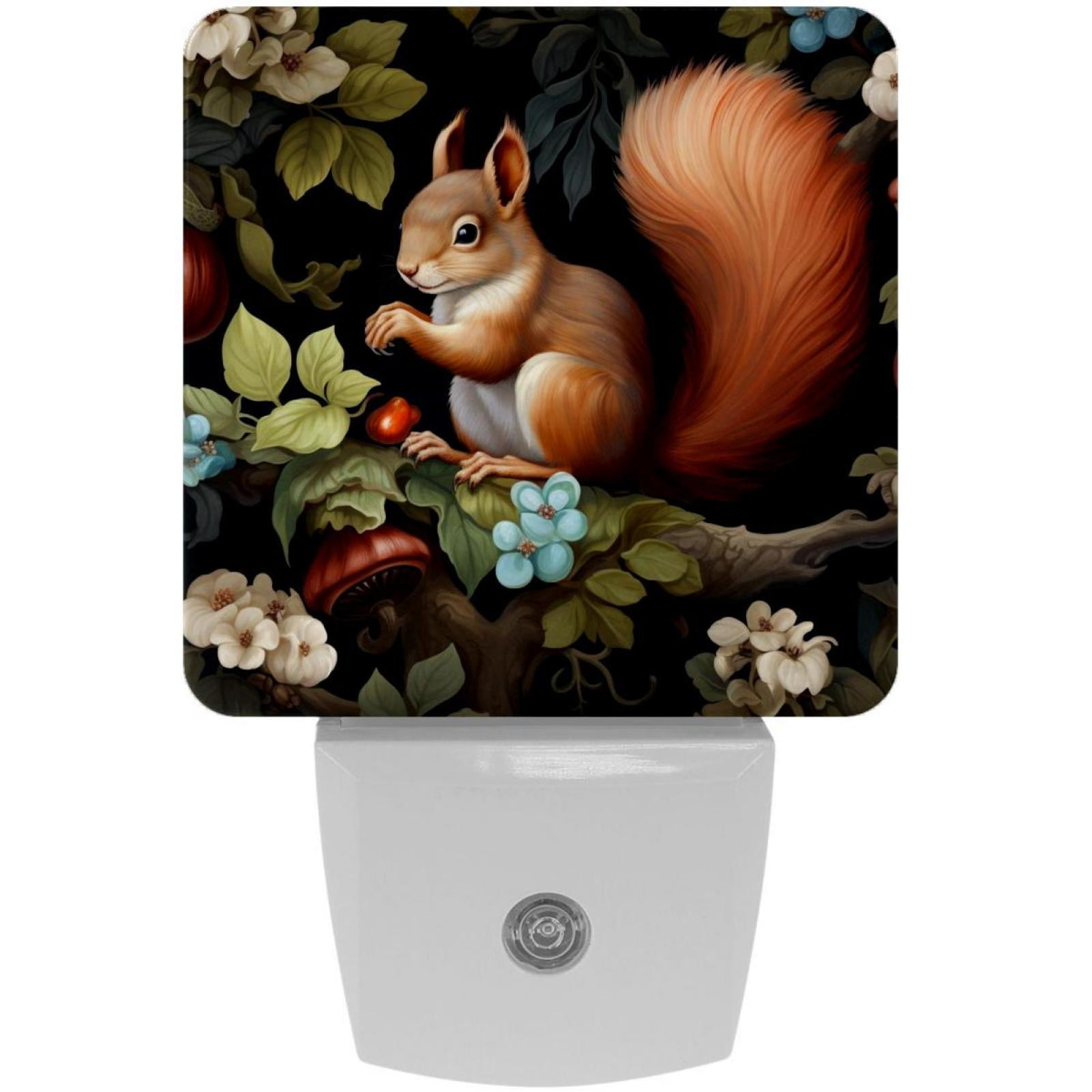 Squirrel LED Square Night Lights- Modern and Energy Efficient Bedside ...