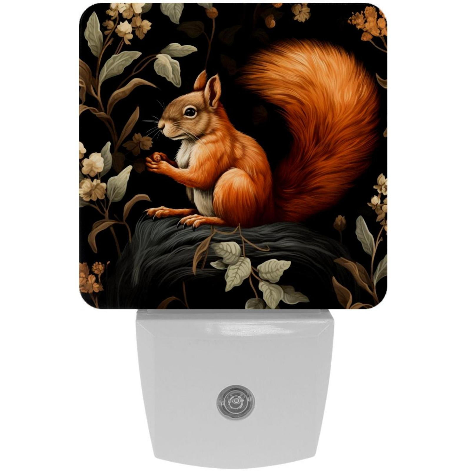 Squirrel LED Square Night Lights - Small and Bright Illumination for ...