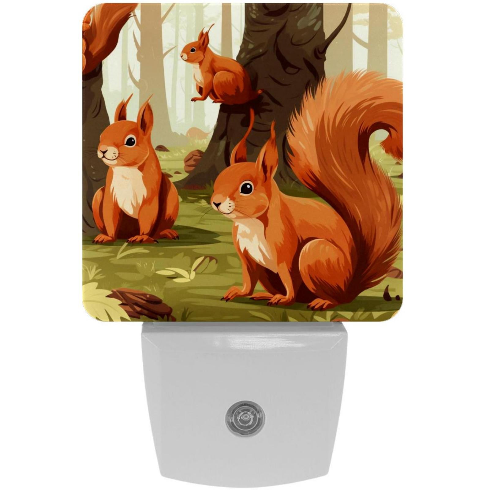 Squirrel LED Square Night Lights - Stylish and Energy-Efficient ...