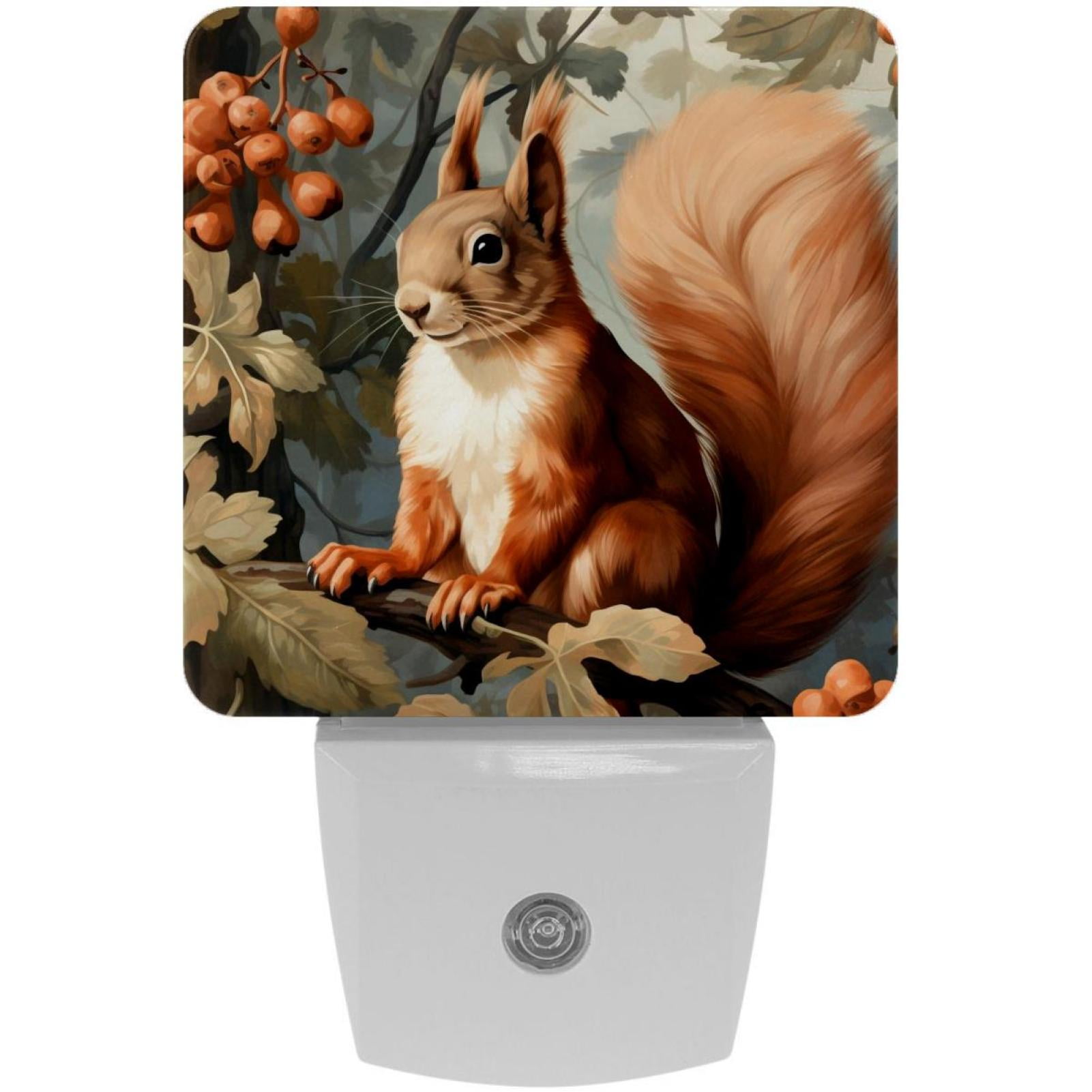 Squirrel LED Square Night Lights - Stylish and Energy-Efficient ...