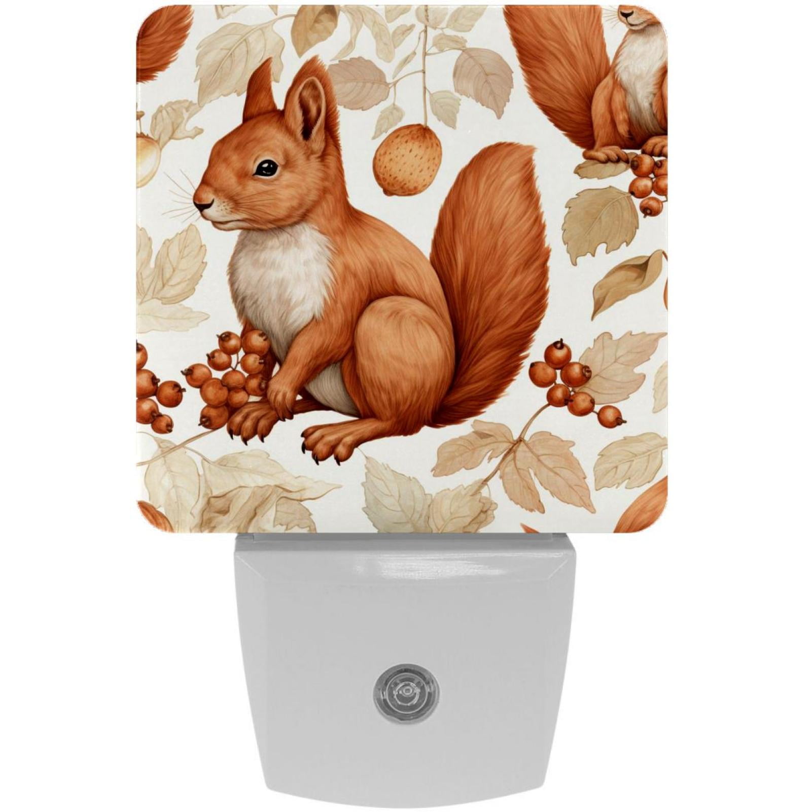 Squirrel LED Square Night Lights - Stylish and Energy-Efficient ...