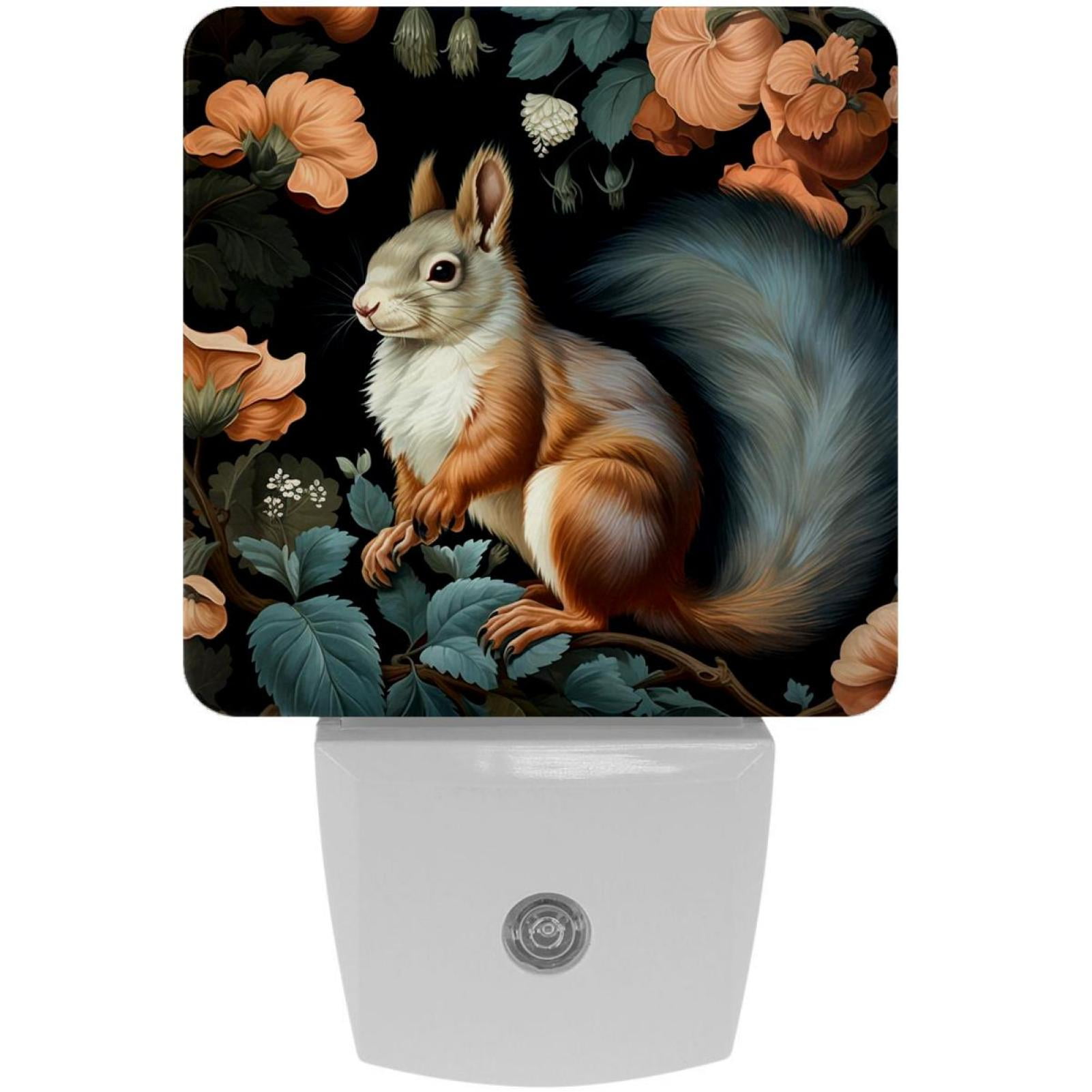 Squirrel LED Square Night Lights - Stylish and Functional Nightlight ...