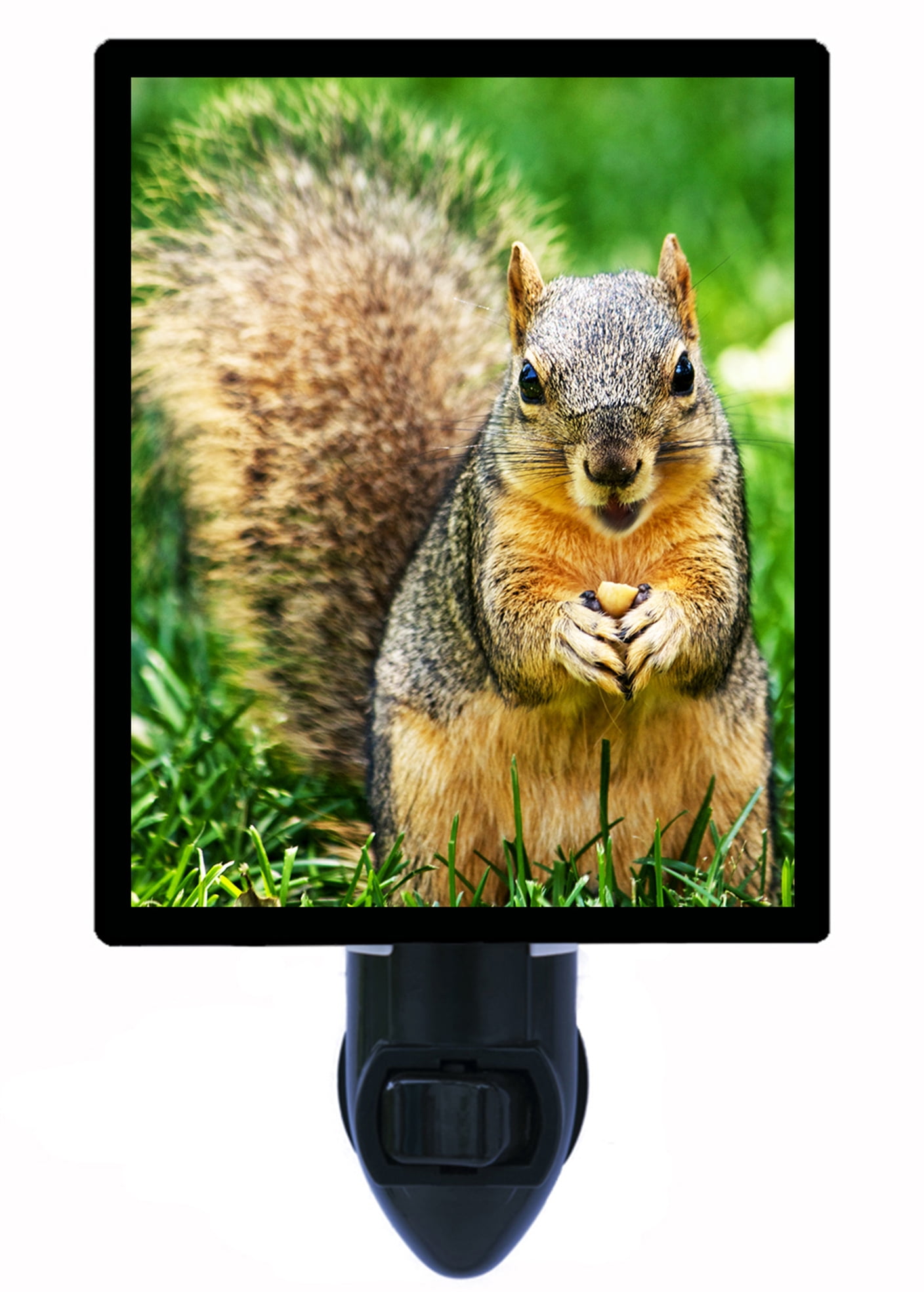 Night Light - Nuts For Nuts. | Squirrel Theme, Includes Free Switchable ...