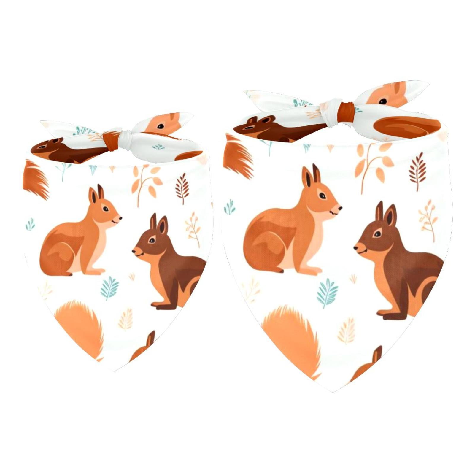 Squirrel Pack of Two Translucent Light and Breathable Chiffon Yarn Dog ...