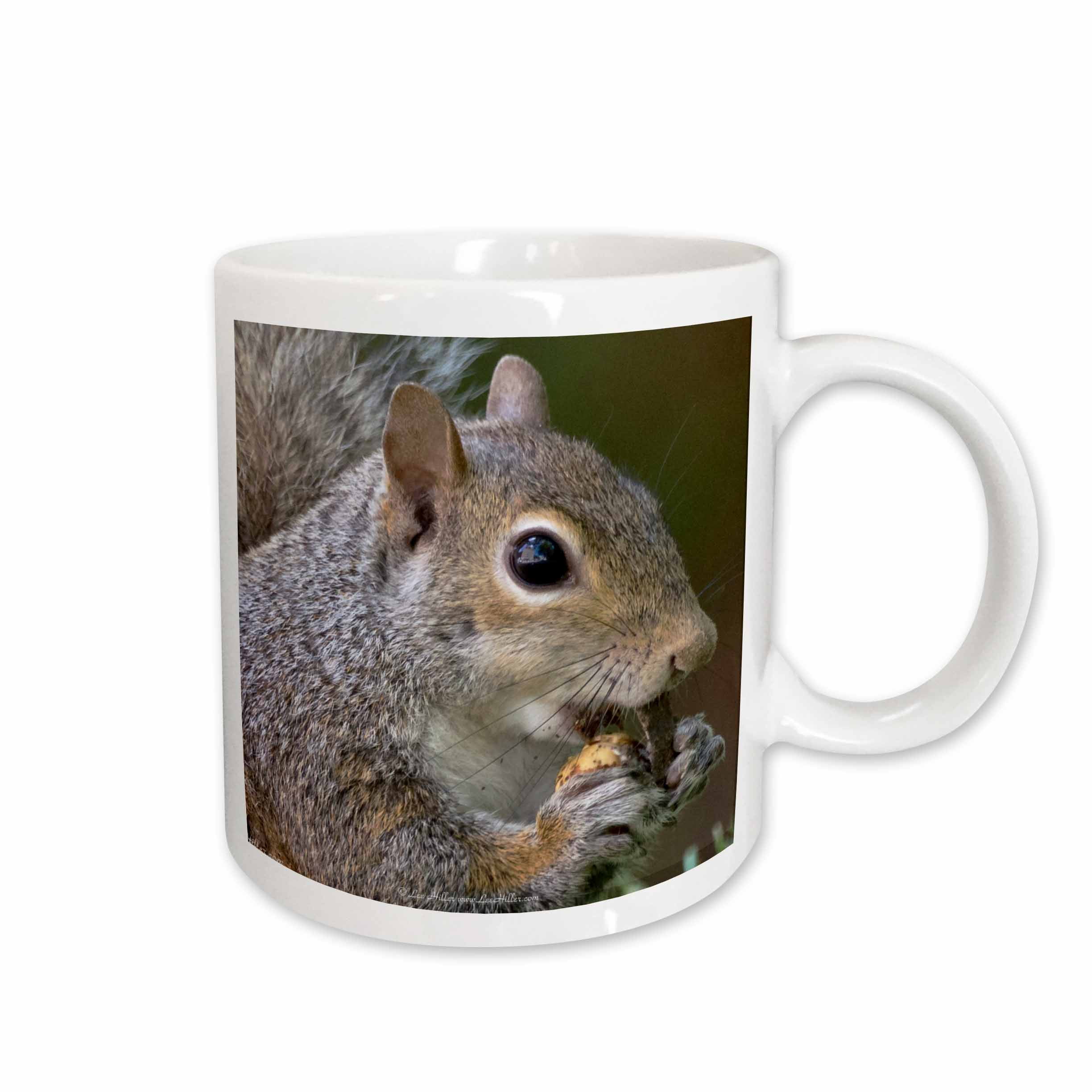 Squirrel Peeling A Nut 15oz Mug mug-22867-2 - Walmart.com