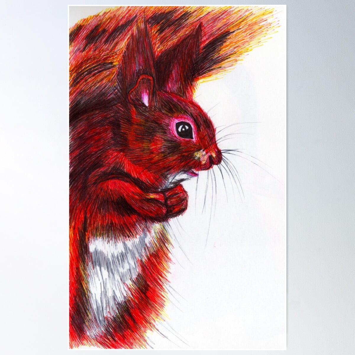 Squirrel Pen Drawing Poster Wall Art, Modern Wall Decor For Living Room ...