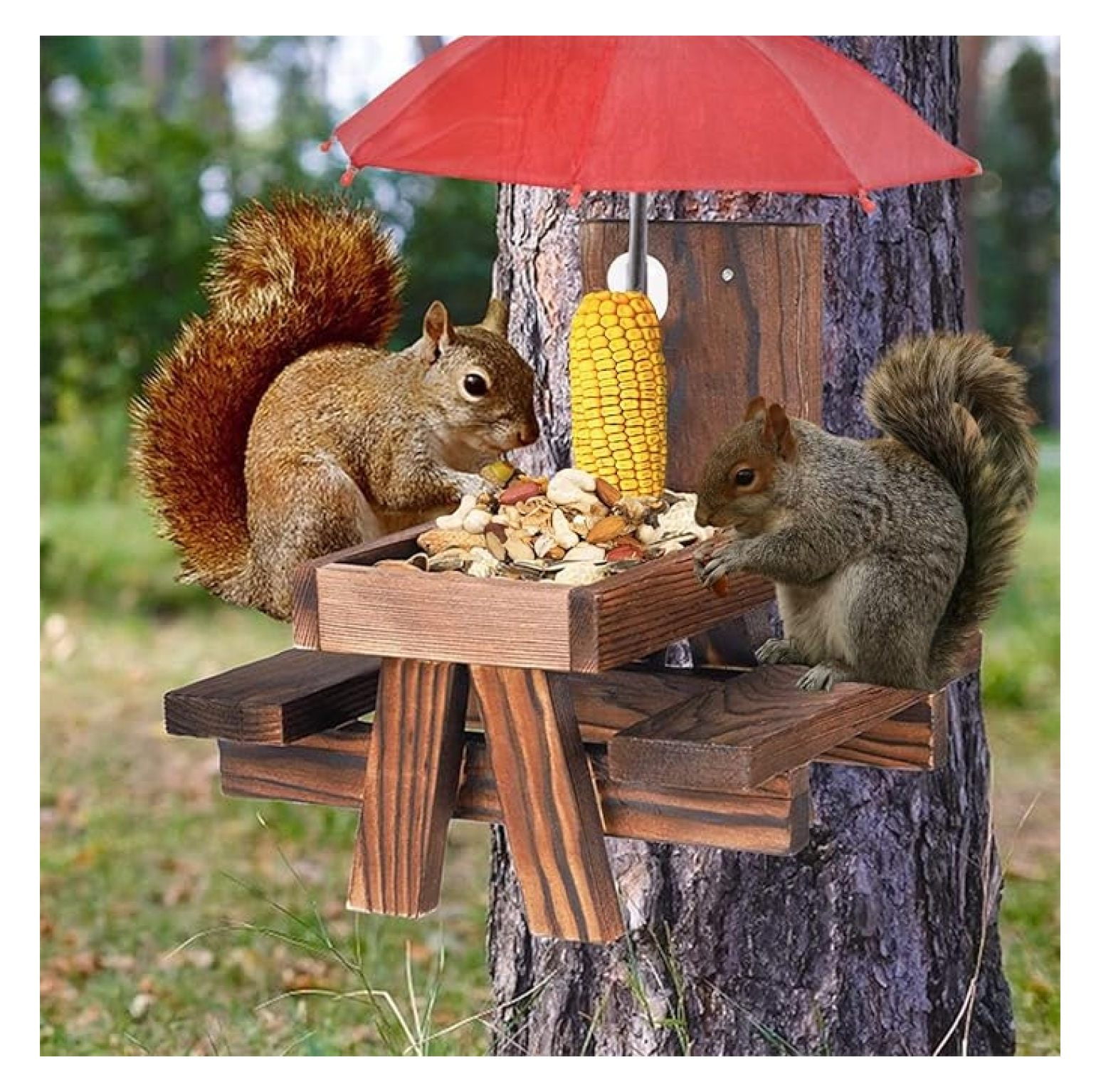 Squirrel Feeder Kingsyard Box For Outside, Recycled Plastic Squirrel ...