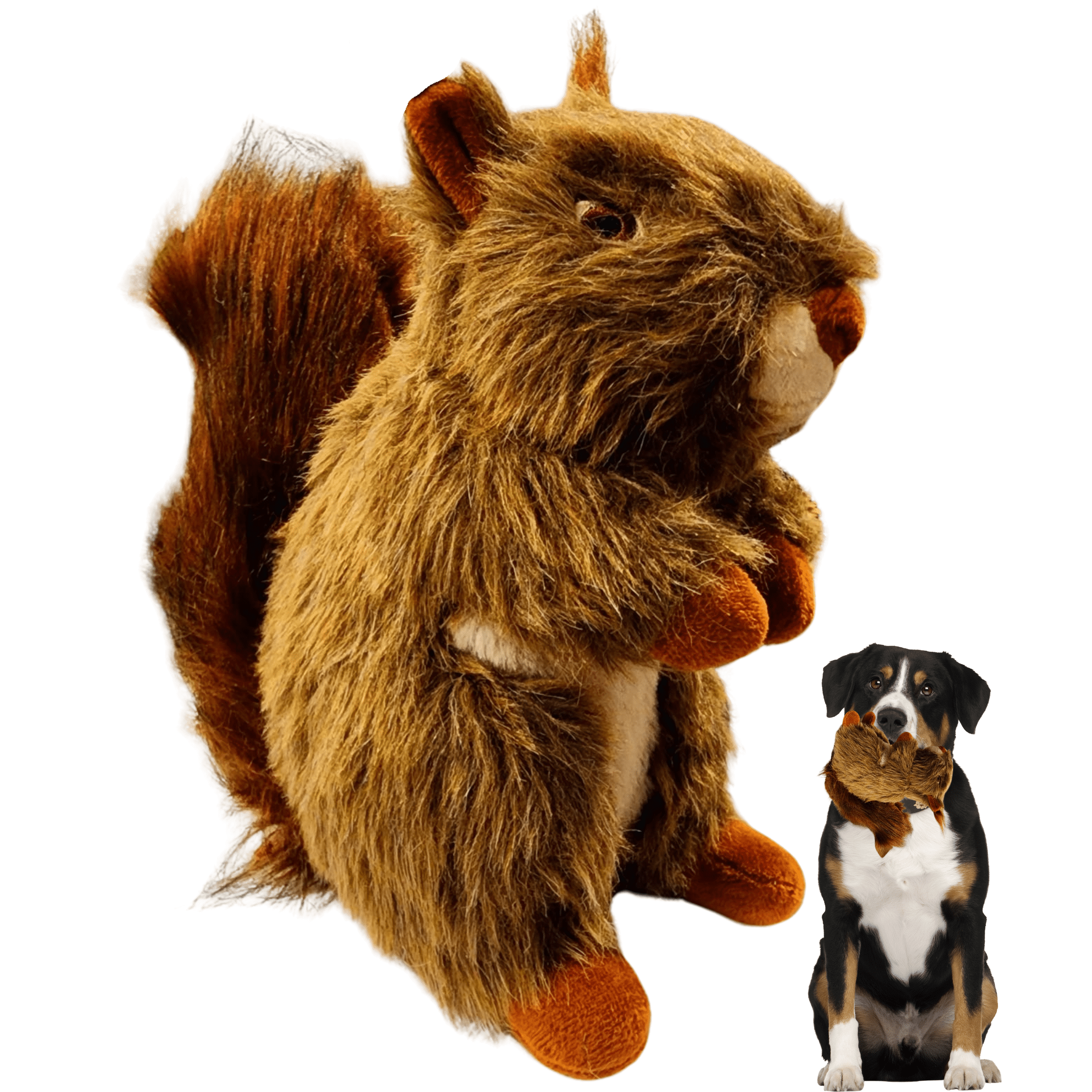 Me Gusta Shop Squirrel Plush Dog Toy, Interactive Squeaky Chew Toy ...