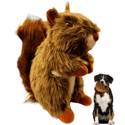 Squirrel Dog Toy