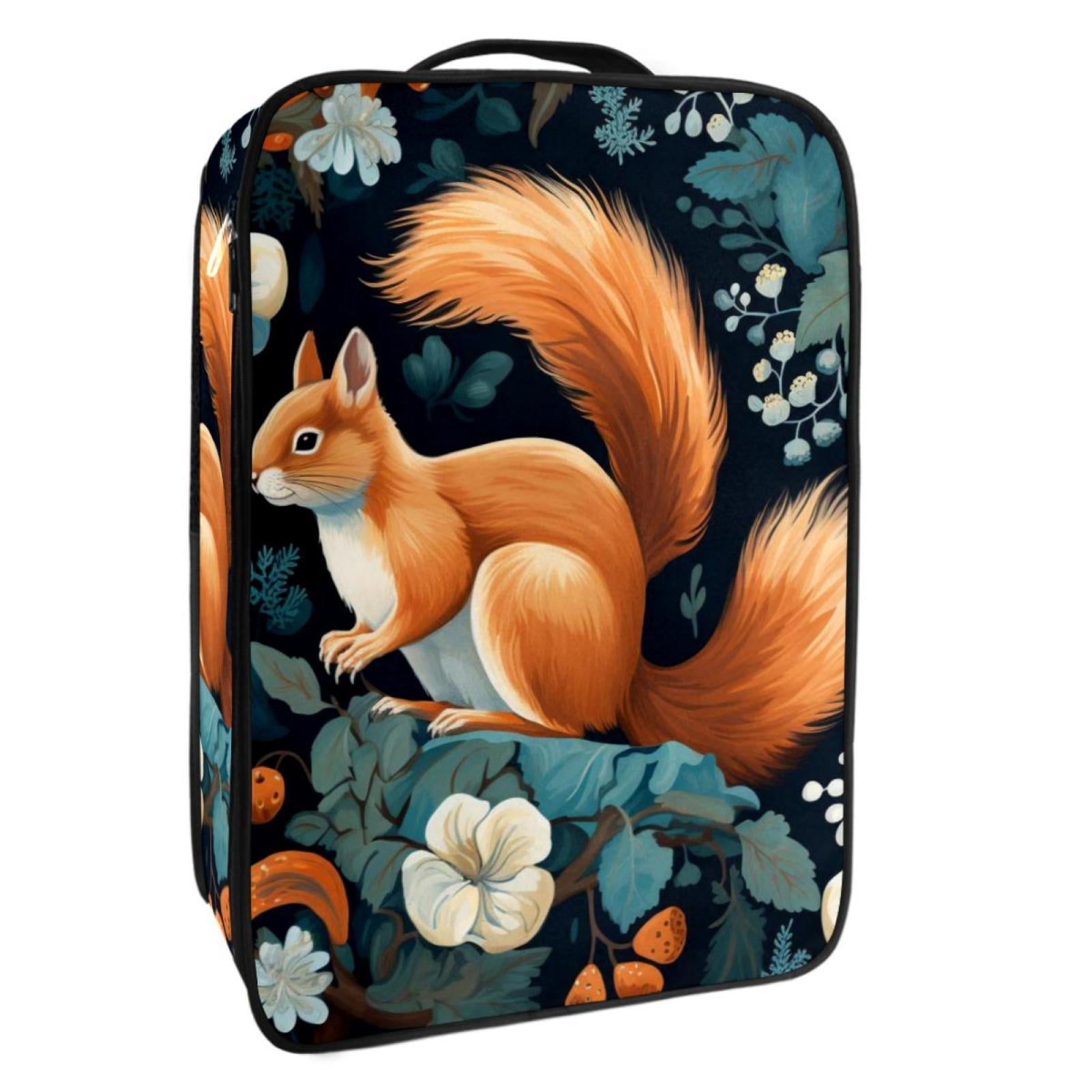 Squirrel Polyester Shoe Organizer Box with Clear Window, 23x31cm/9x12in ...