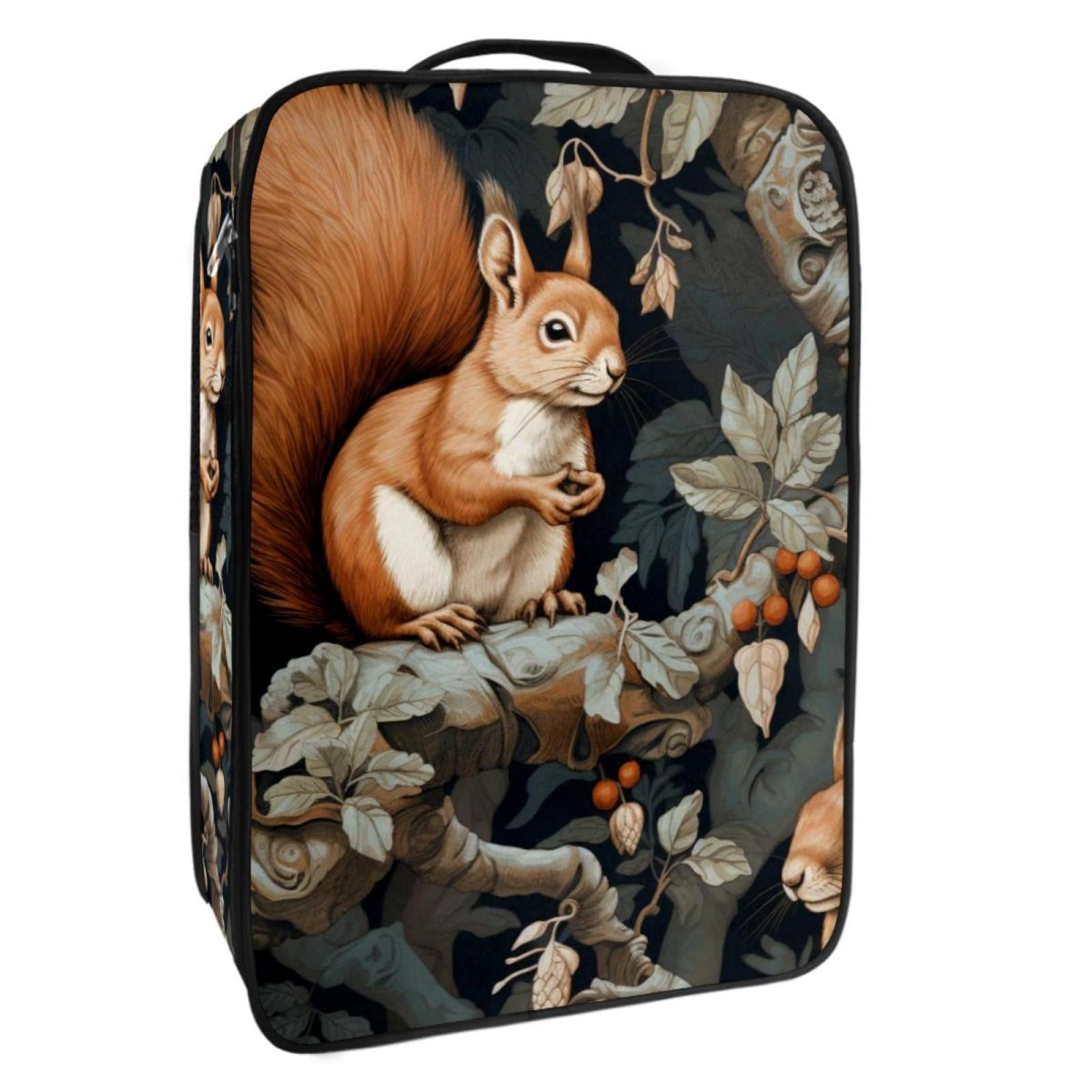Squirrel Polyester Shoe Rack Organizer Storage Box for Shoes, 23x31cm ...