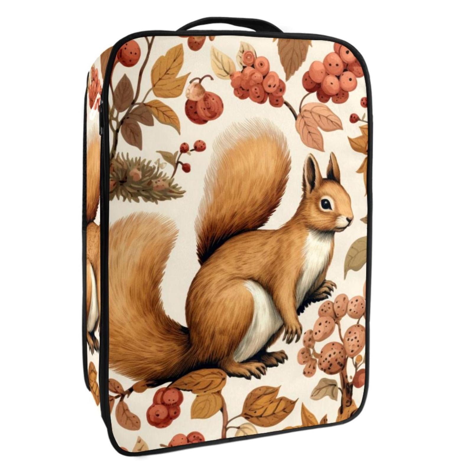 Squirrel Premium Polyester Shoe Organizer - Durable Shoe Box Storage ...
