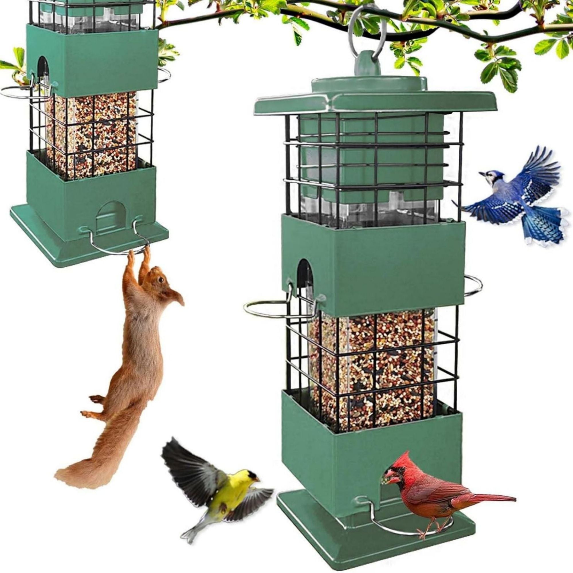 Squirrel Proof Bird Feeder,2.5LBS Metal Bird Feeders for Outdoors ...