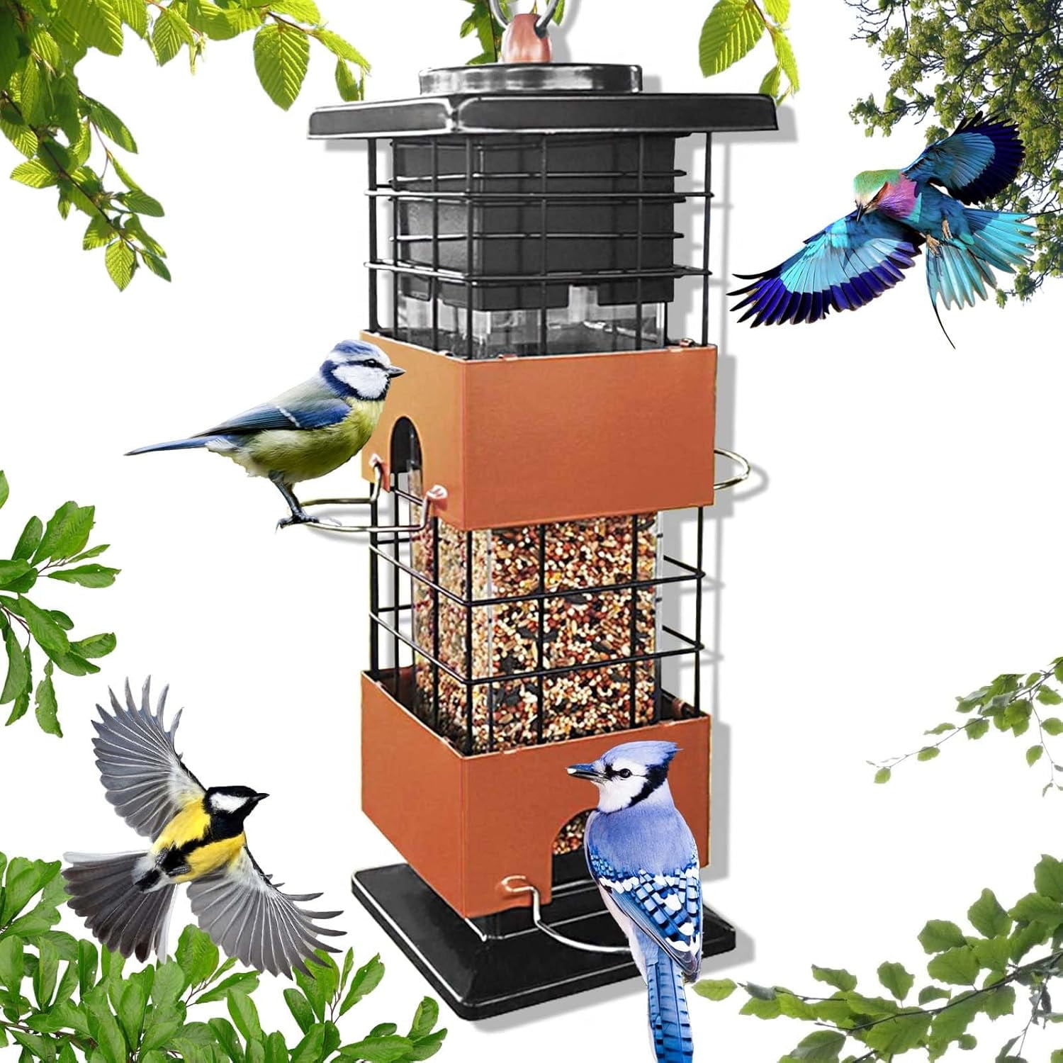 Squirrel Proof Bird Feeder, 3 Lbs Bird Feeders for Outdoors Hanging ...