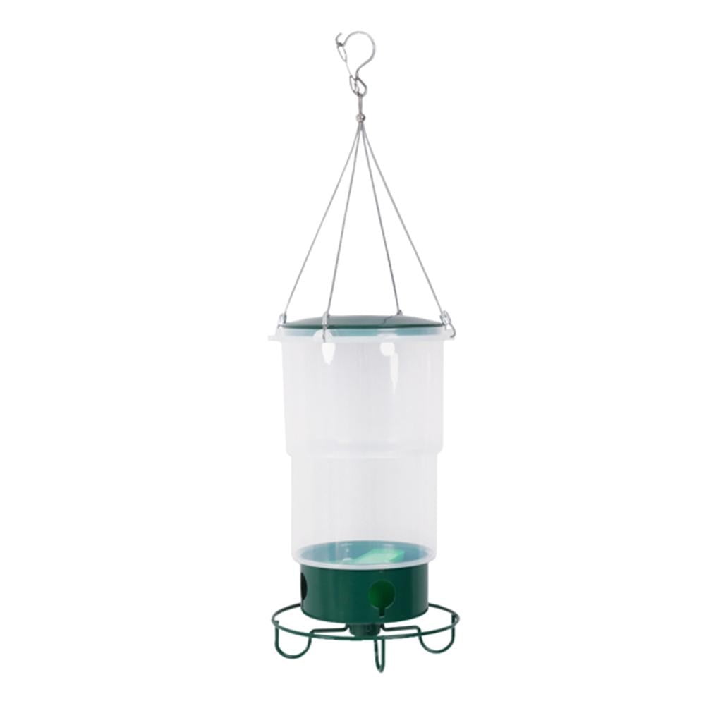 Squirrel-Proof Hanging Bird Feeder: Attract Hummingbirds to Your Garden ...
