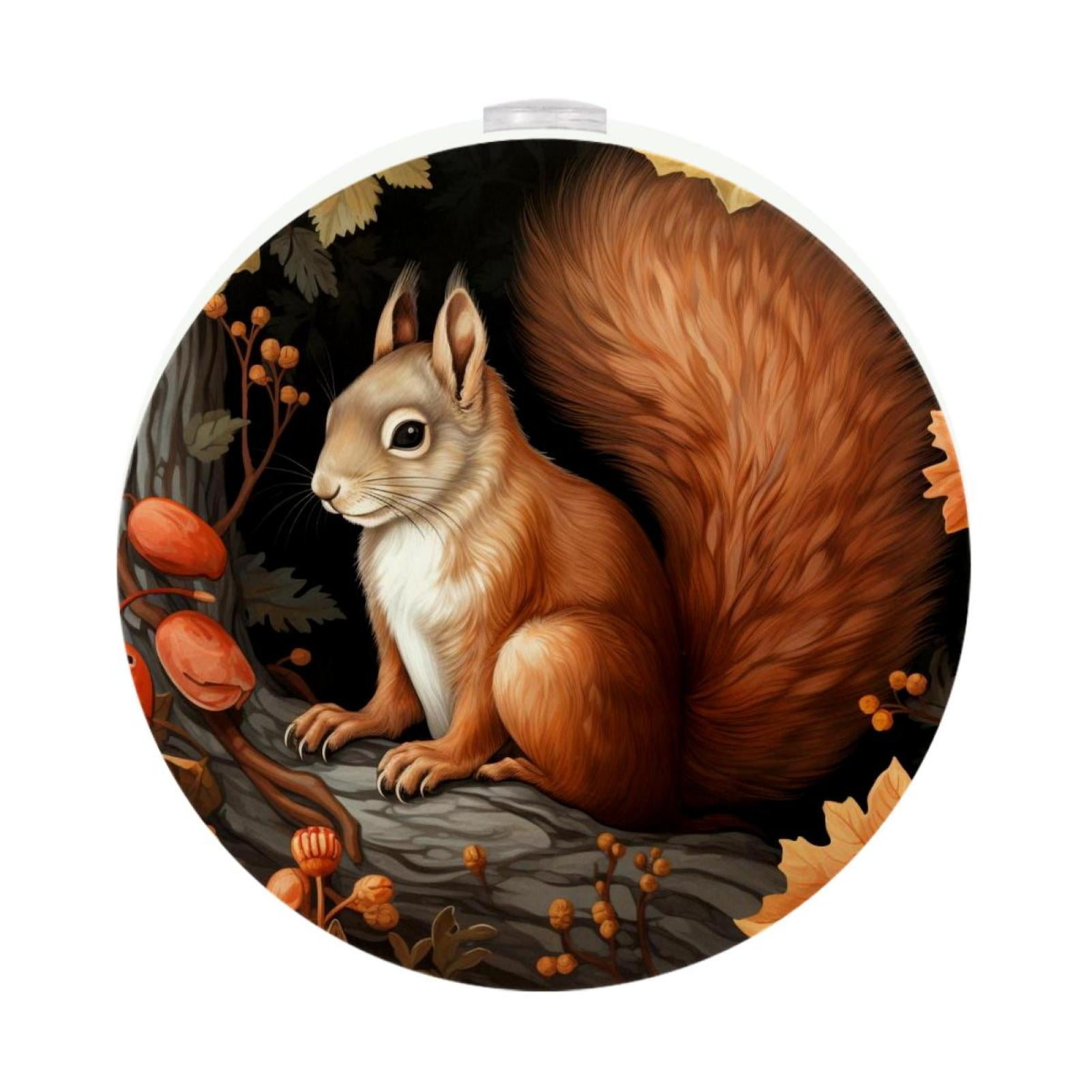 Squirrel Set of 2 LED Round Night Lights for Brightening up your Space ...