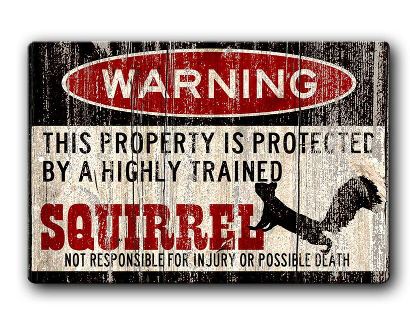 Squirrel Sign,Funny Metal Signs,Protected By Squirrel,Squirrel Warning ...