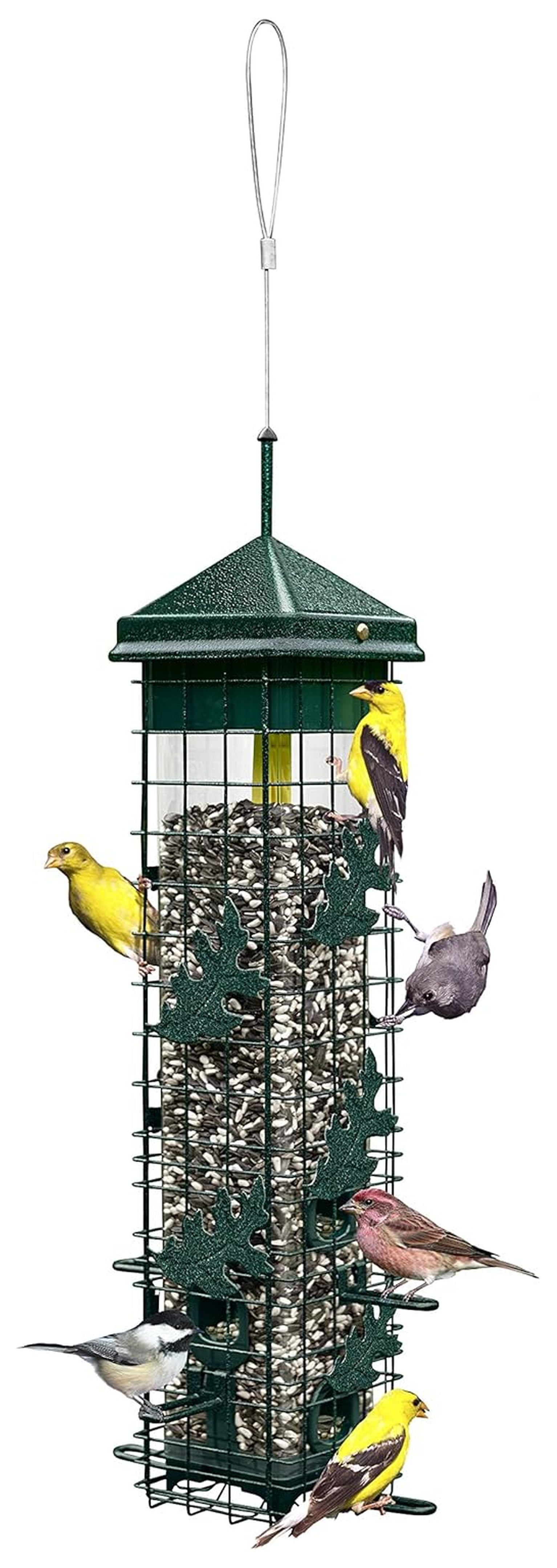 Squirrel Solution200 Squirrel-proof Feeder w/6 Feeding Ports, 3.4-pound ...