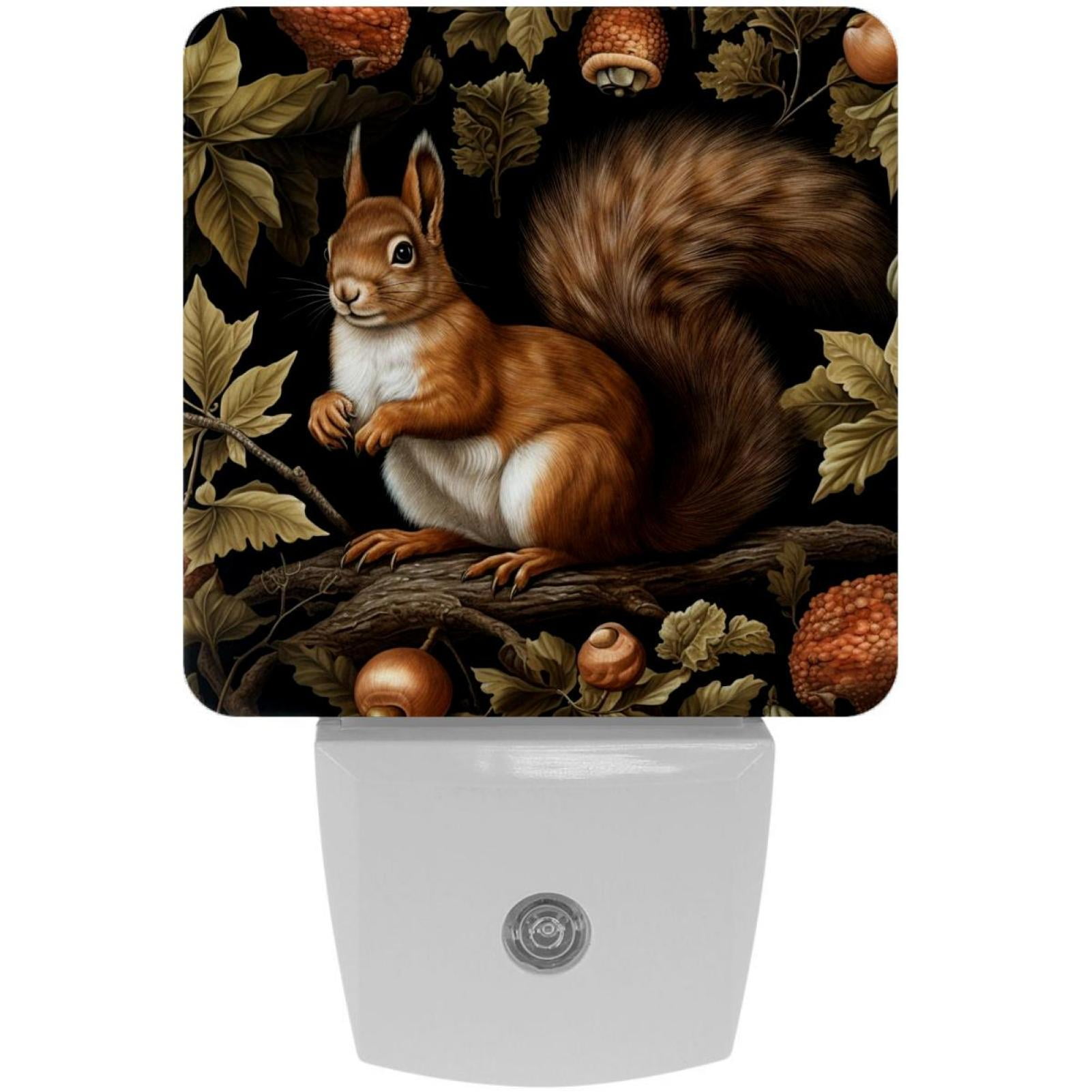 Squirrel Square LED Night Lights - Small, Portable, and Energy-Efficient Illumination Solution ...