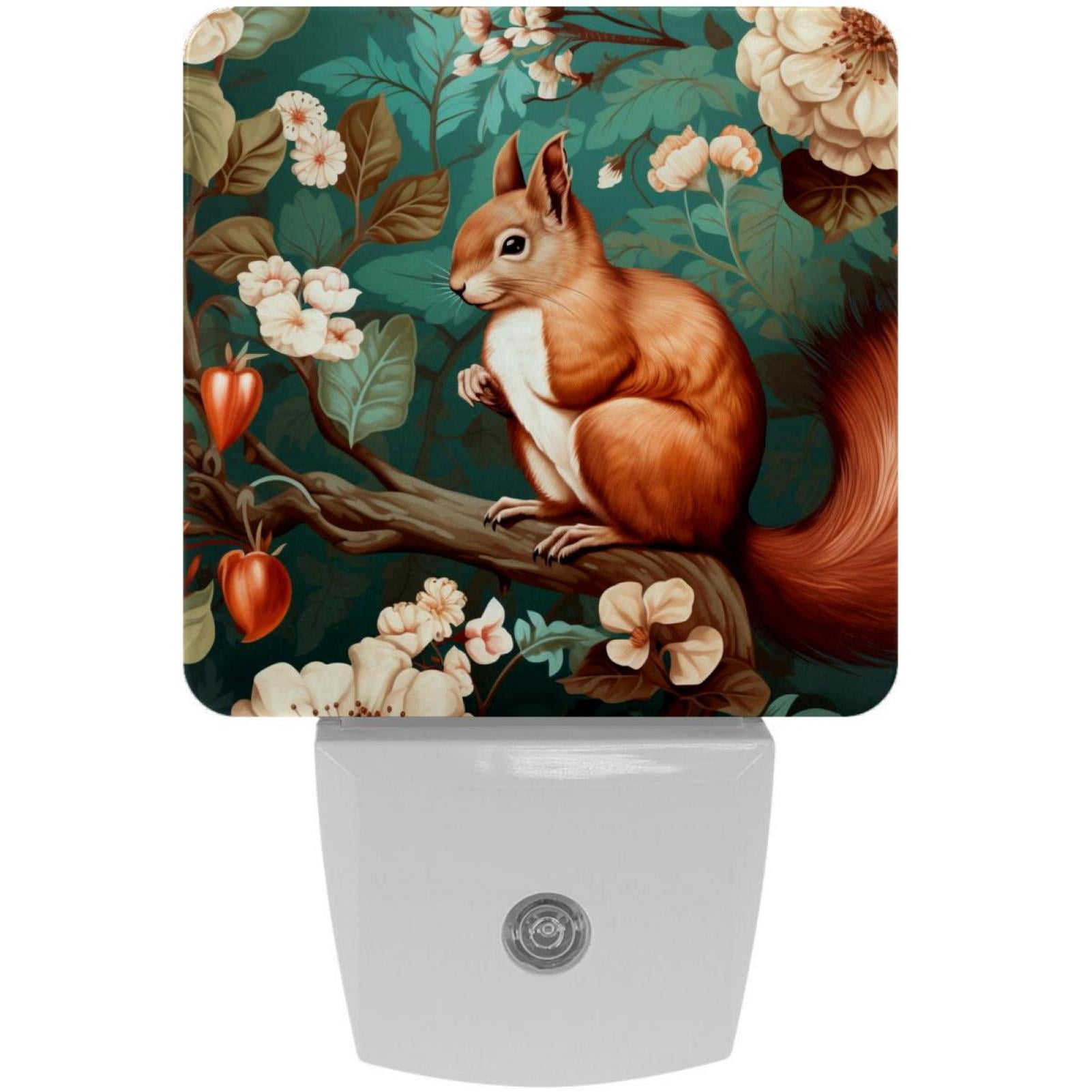 Squirrel Square LED Night Lights - Small, Portable Lighting for Any ...