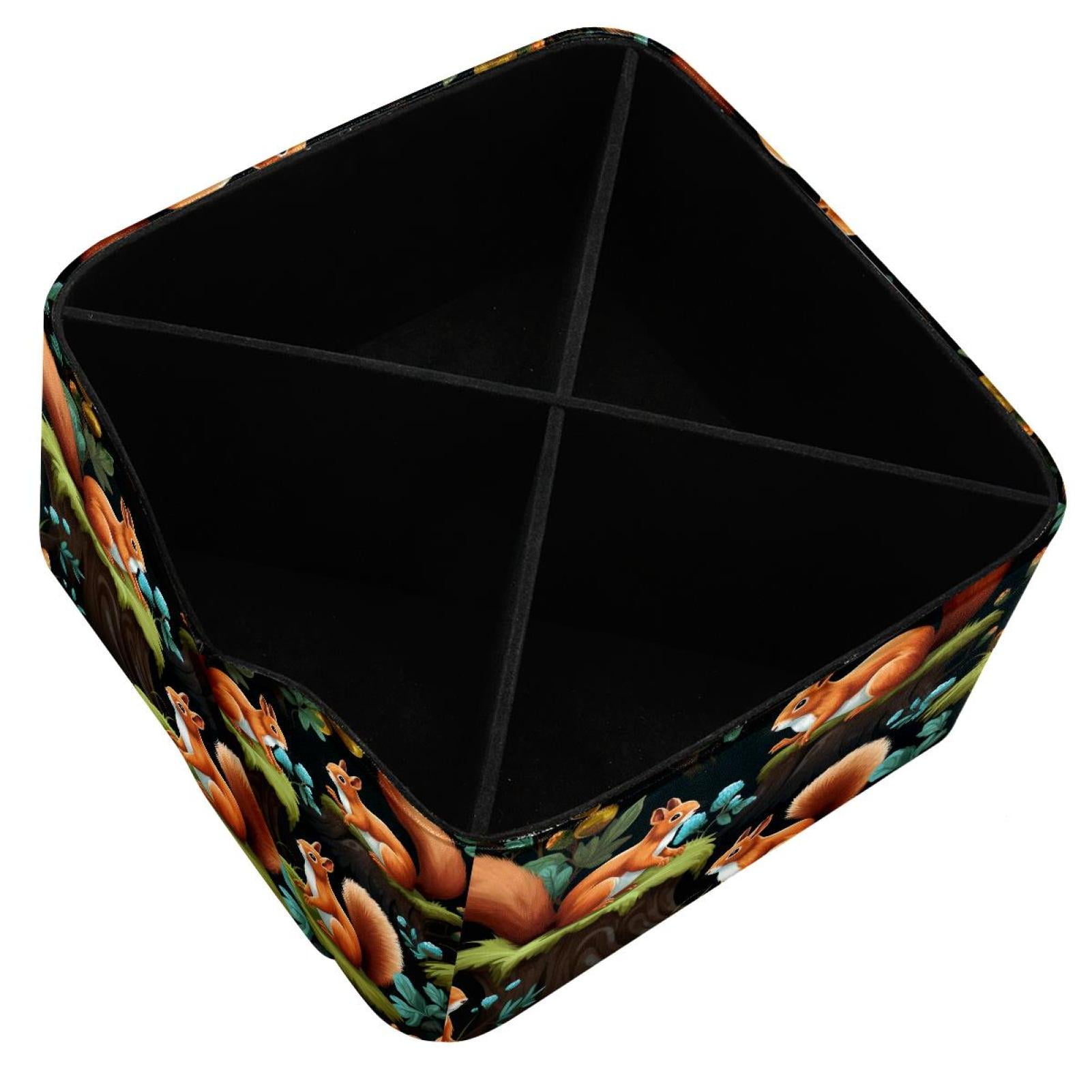 Squirrel Square Pencil Case with 4 Compartments, Removable Dividers ...