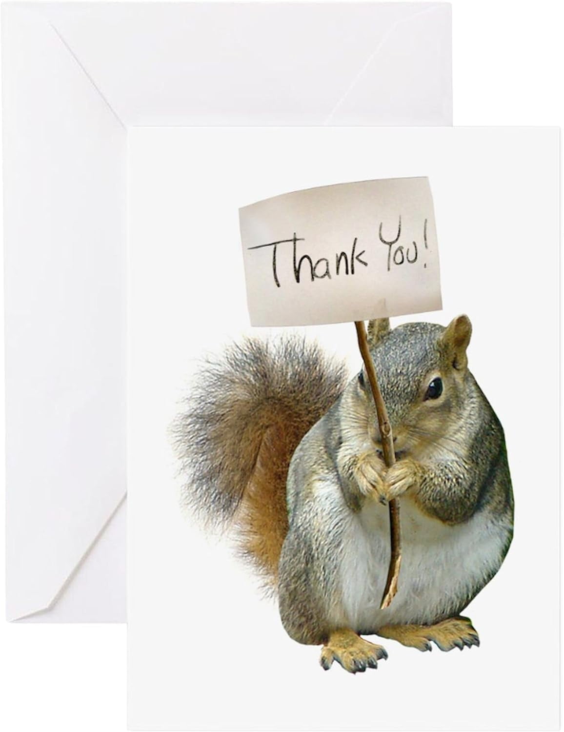 Squirrel Thank You Greeting Cards Folded Greeting Cards (10-pack ...