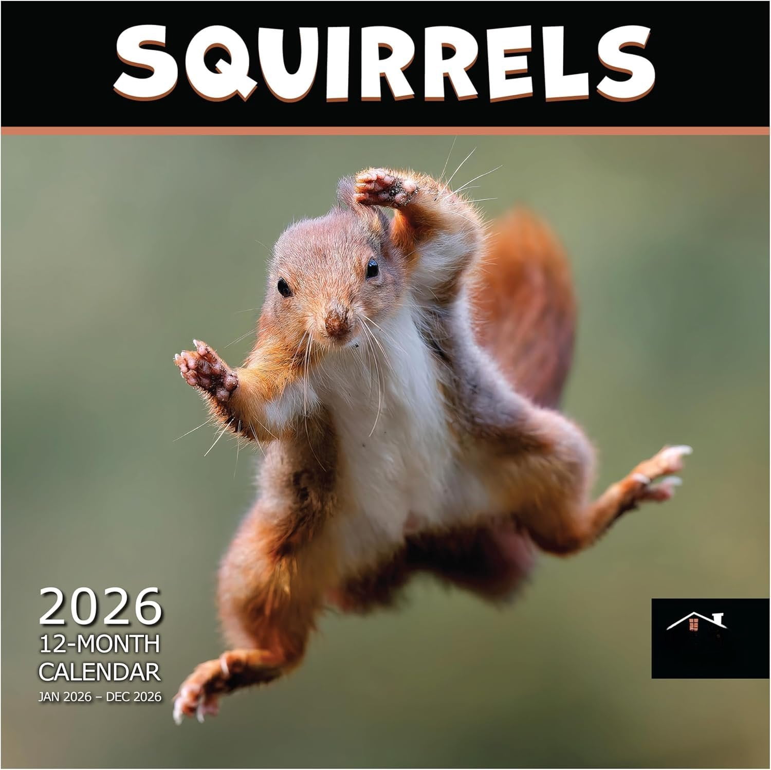 Squirrels 2026 Wall Calendar 12 Month | 12" x 24" Open | Thick & Sturdy ...