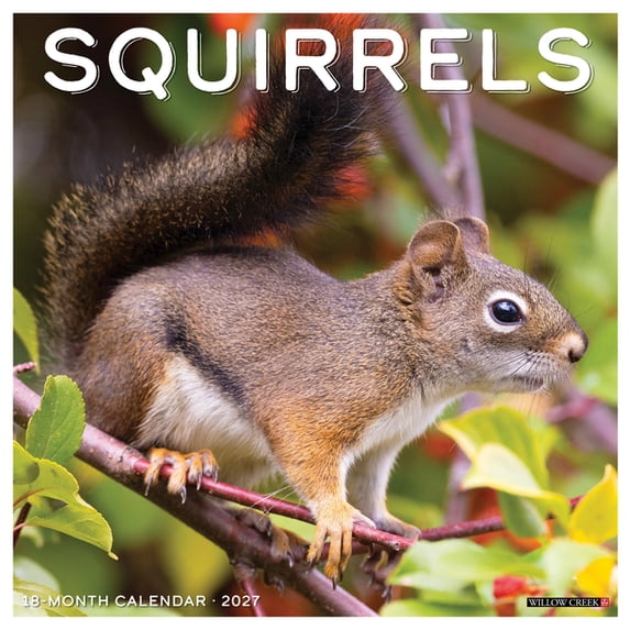 Squirrels 2027 12 X 12 Wall Calendar, (Paperback) - Walmart.com