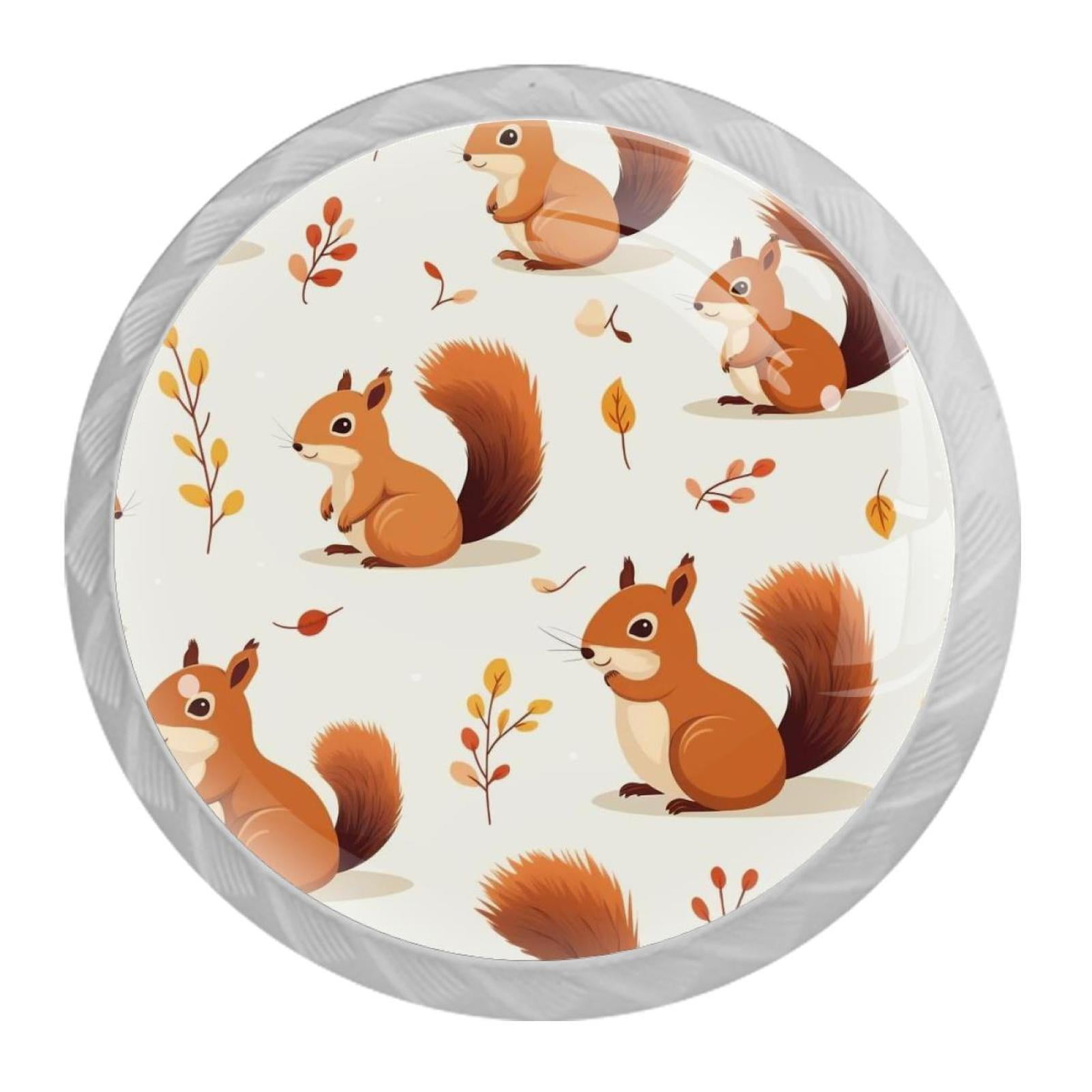 Squirrels Print Custom Drawer Knobs - Transparent Cabinet Knobs ABS ...