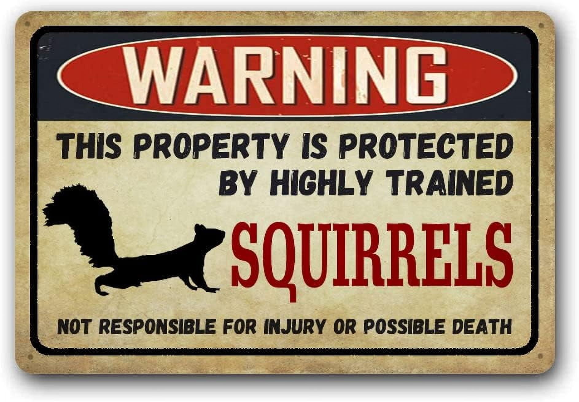 Squirrels Retro Sign,Funny Metal Signs Warning Sign Pet Gift, Exotic ...