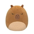 Squishmallows 11" Lijjian the Capybara - Walmart.com