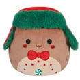 Squishmallows 8" Peterson the Gingerbread with Hat - Walmart.com