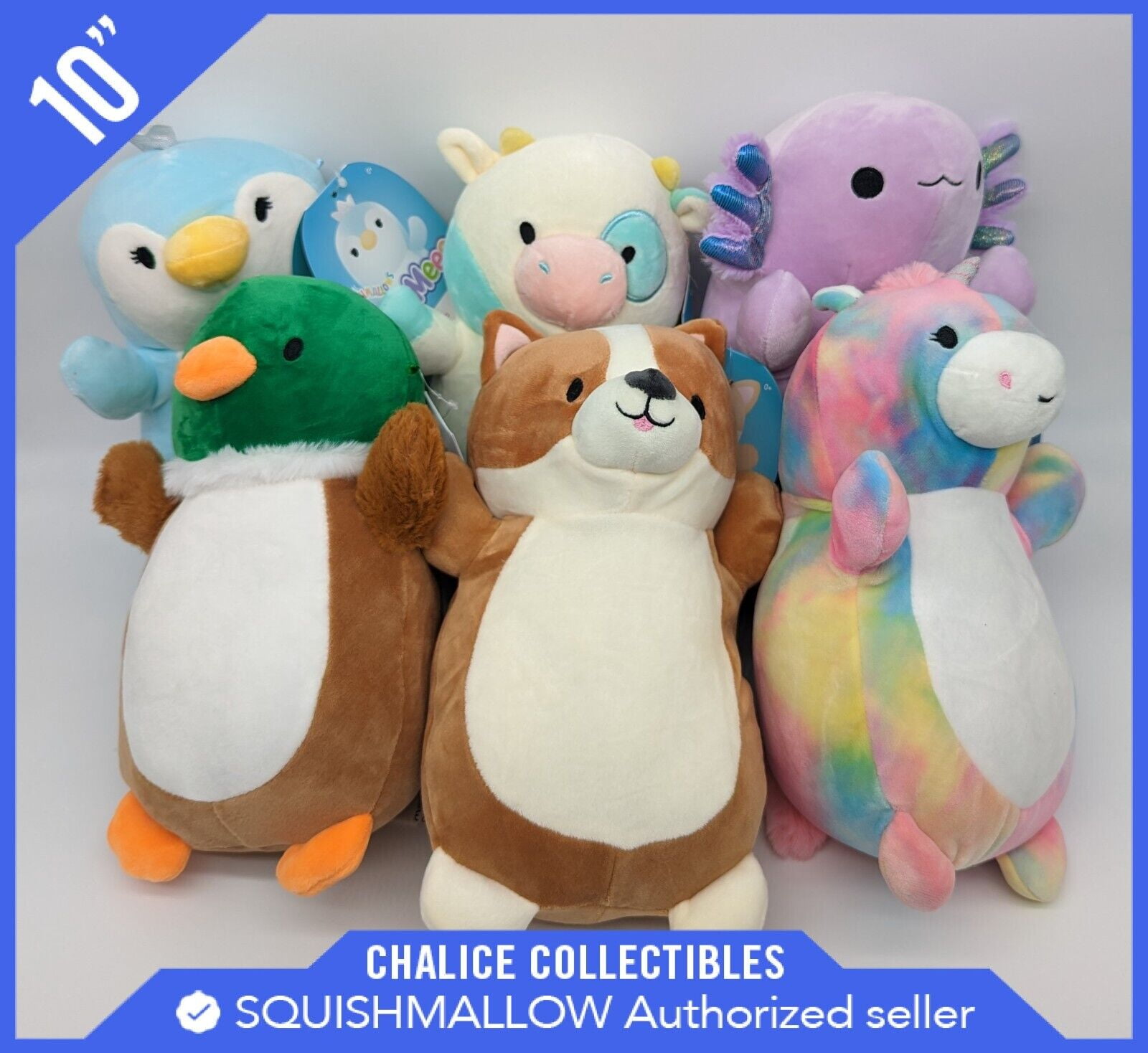 Squishmallows Kellytoy Plush 10" Hug Mees Series B NWT Set of 6 ...