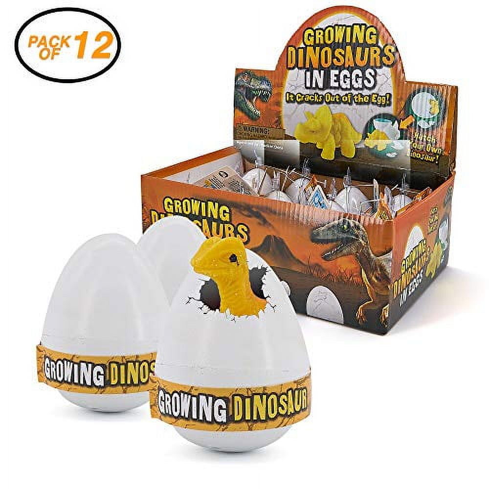 Srenta Magic Growing Dinosaur Egg Kids Toys Multicolor, 12 Count ...