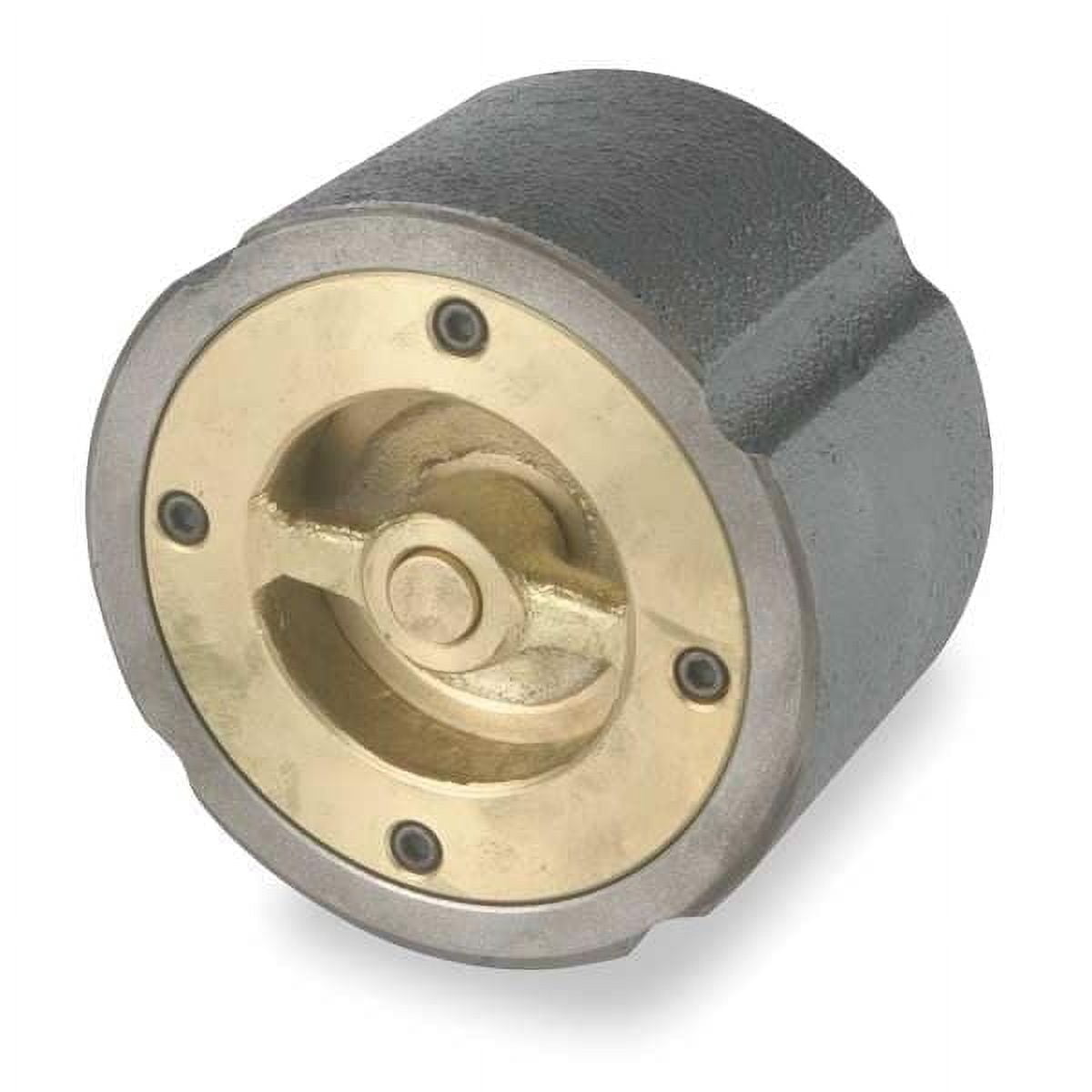 Ssi Silent Check Valve,6.875 in Overall L 0400-125WCITM-T - Walmart.com