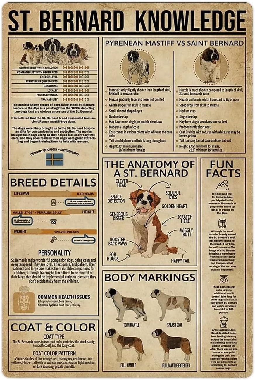 St. Bernard Knowledge Metal Tin Signs St. Bernard Infographics Retro ...
