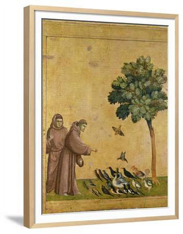 St. Francis of Assisi Preaching to the Birds, Animals Religion Framed ...