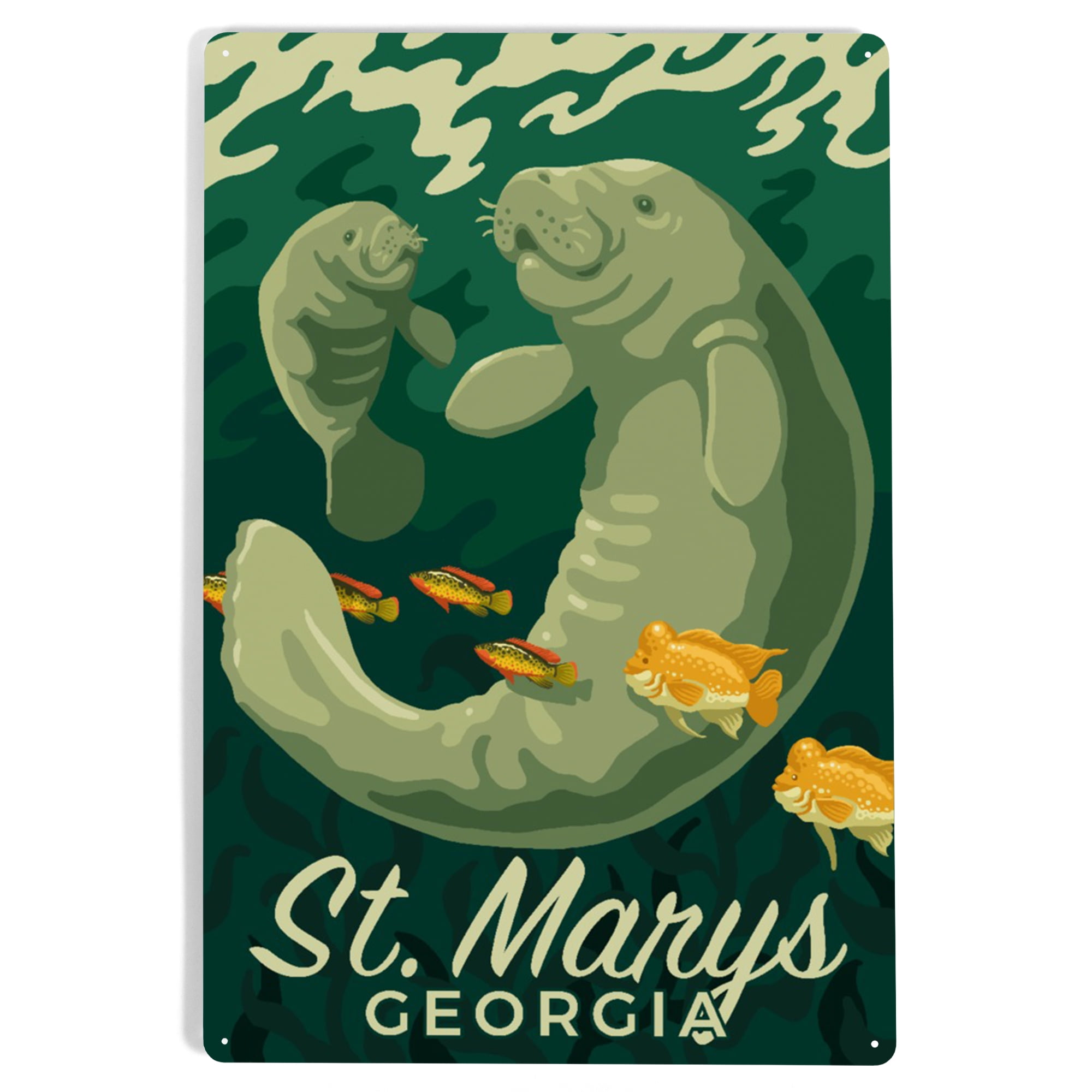 St. Marys, Georgia, Manatee and Calf Swimming (12x18 Aluminum Art ...