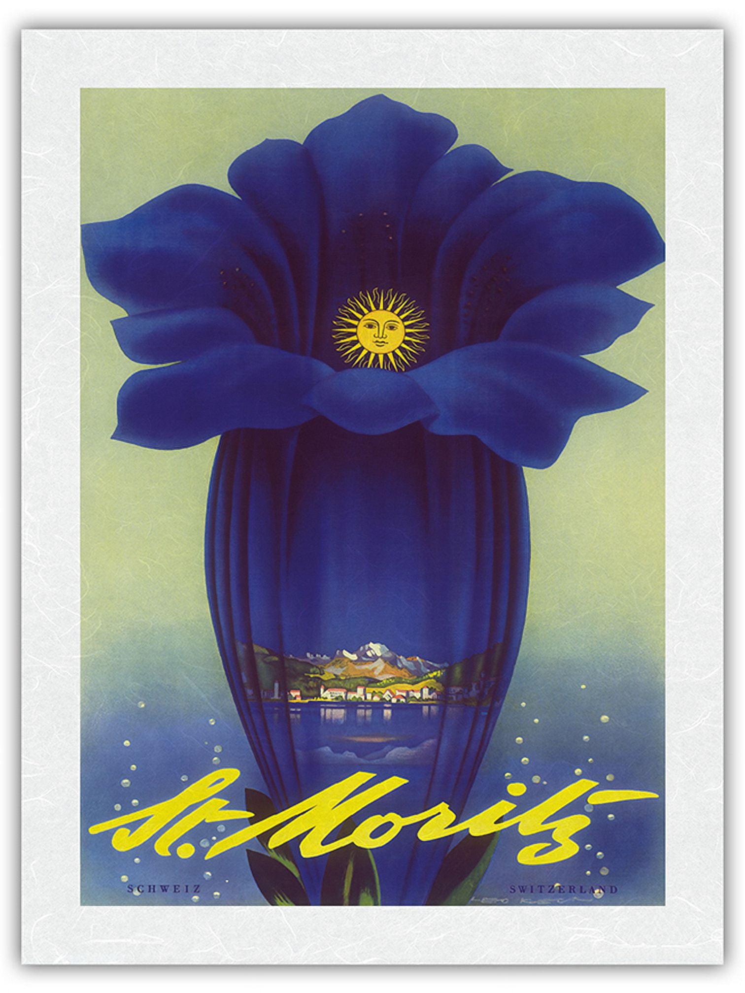 St. Moritz Switzerland (Schweiz) - Blue Trumpet Gentian Flower ...