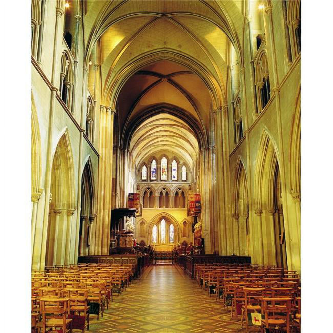 St. Patricks Cathedral Dublin Ireland Poster Print - Walmart.com