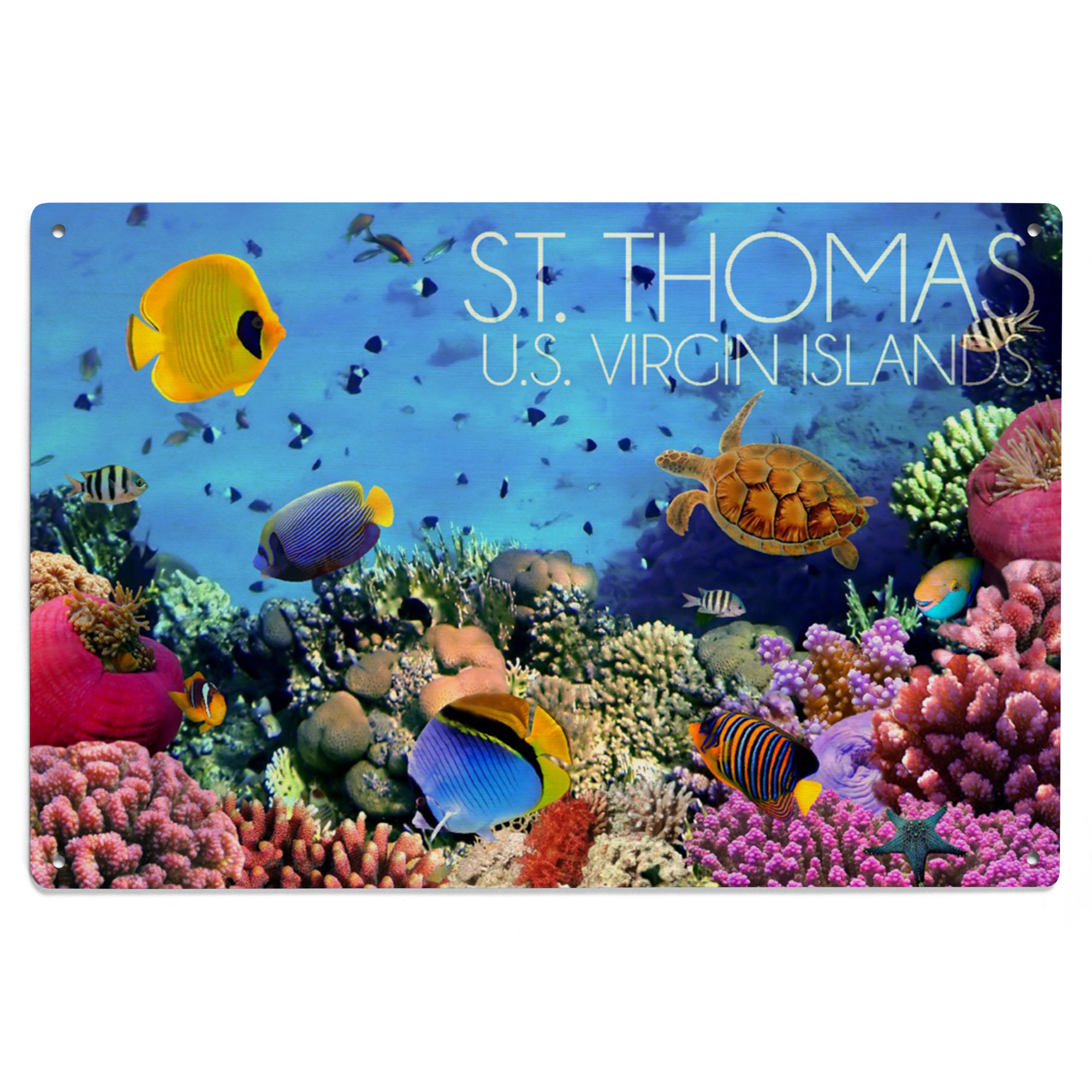 St. Thomas, U.S. Virgin Islands, Underwater Coral Birch Wood Wall Sign ...