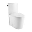 Miseno High-Efficiency Two-Piece Toilet, Santi Mno240c, High-Quality ...